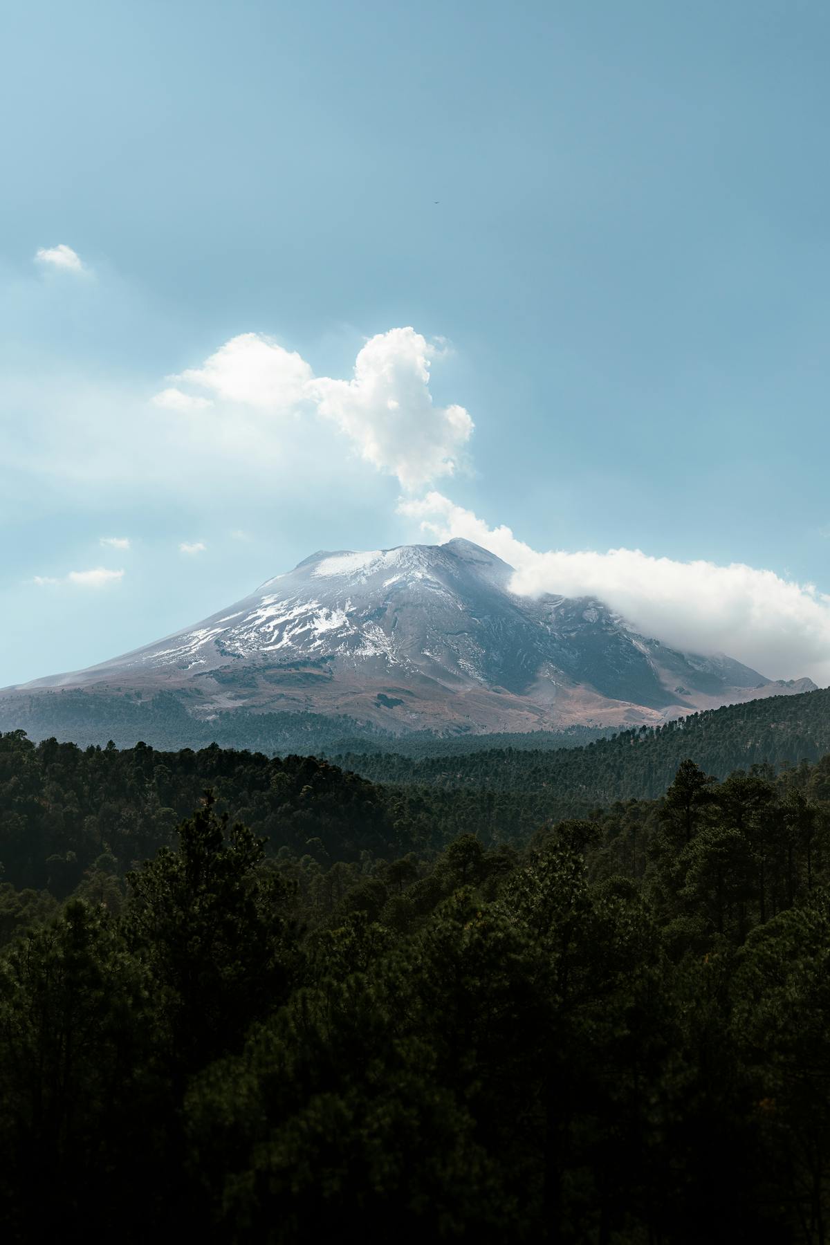 Snow+Bunny+Girls Photos, Download The BEST Free Snow+Bunny+Girls Stock ...