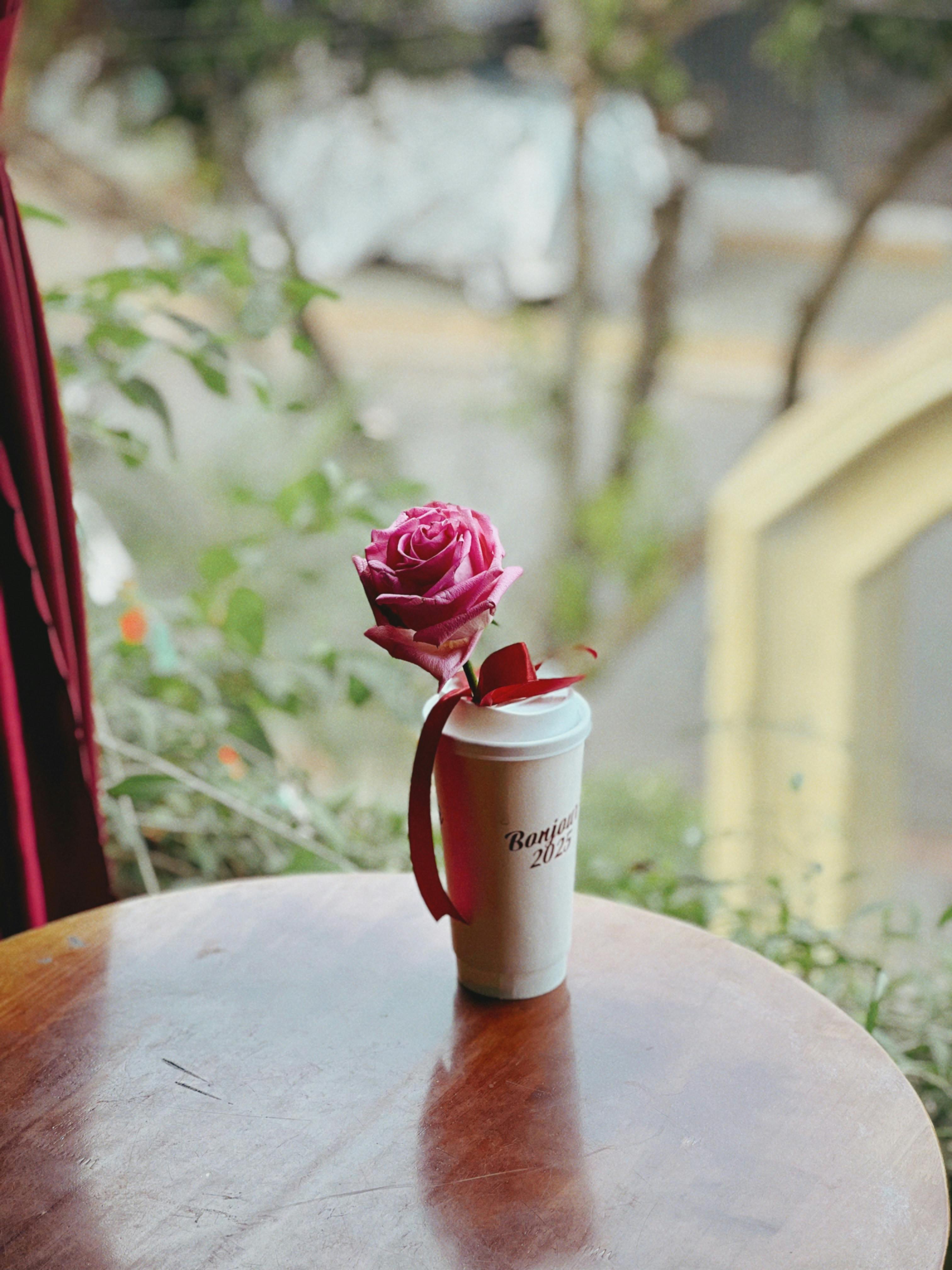 Tank+Film Photos, Download The BEST Free Tank+Film Stock Photos & HD Images