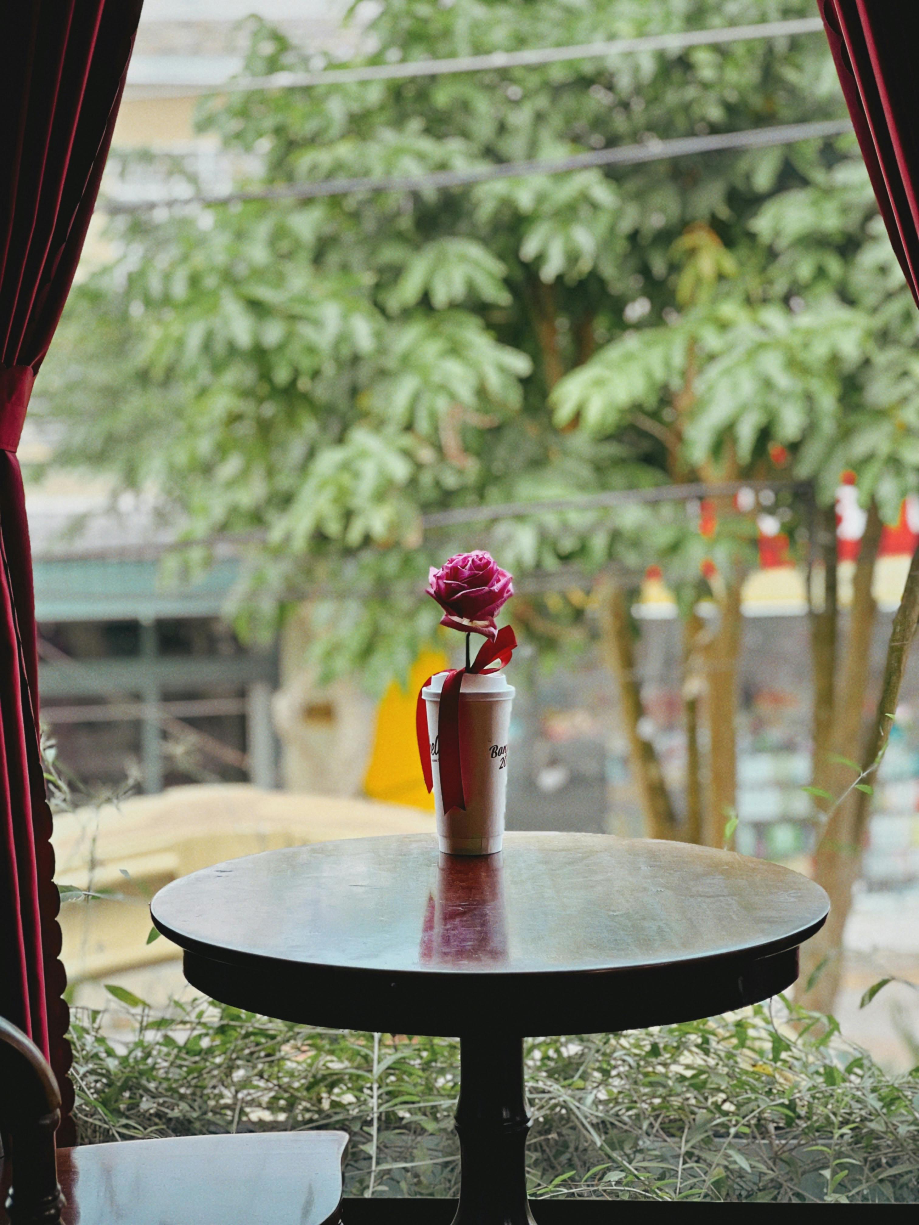 Tank+Film Photos, Download The BEST Free Tank+Film Stock Photos & HD Images