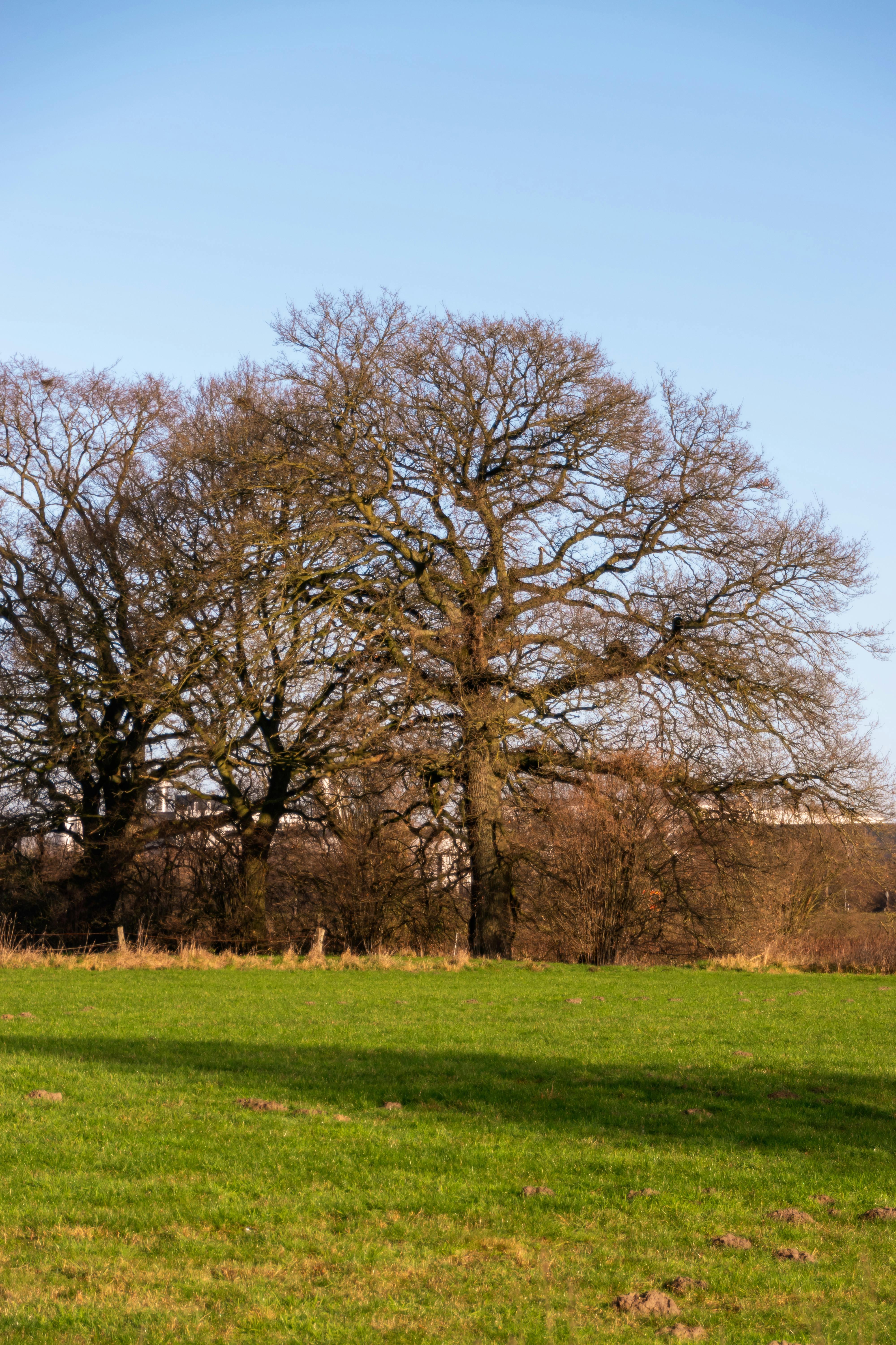 Miya Khalifa Photo Photos, Download The BEST Free Miya Khalifa Photo ...