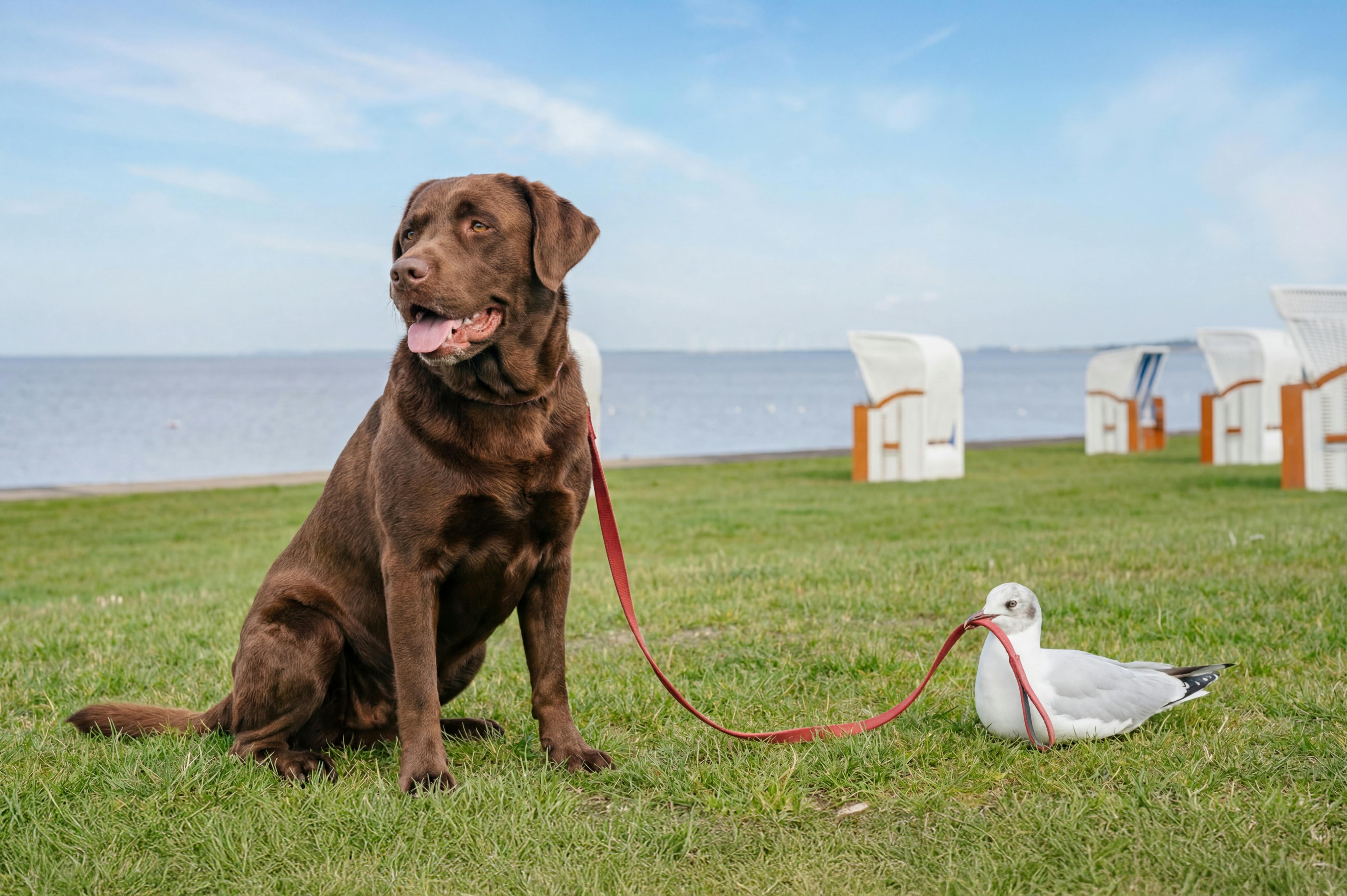 300.000+ Romantic-beach-couple Bilder und Fotos · Kostenlos Downloaden ...