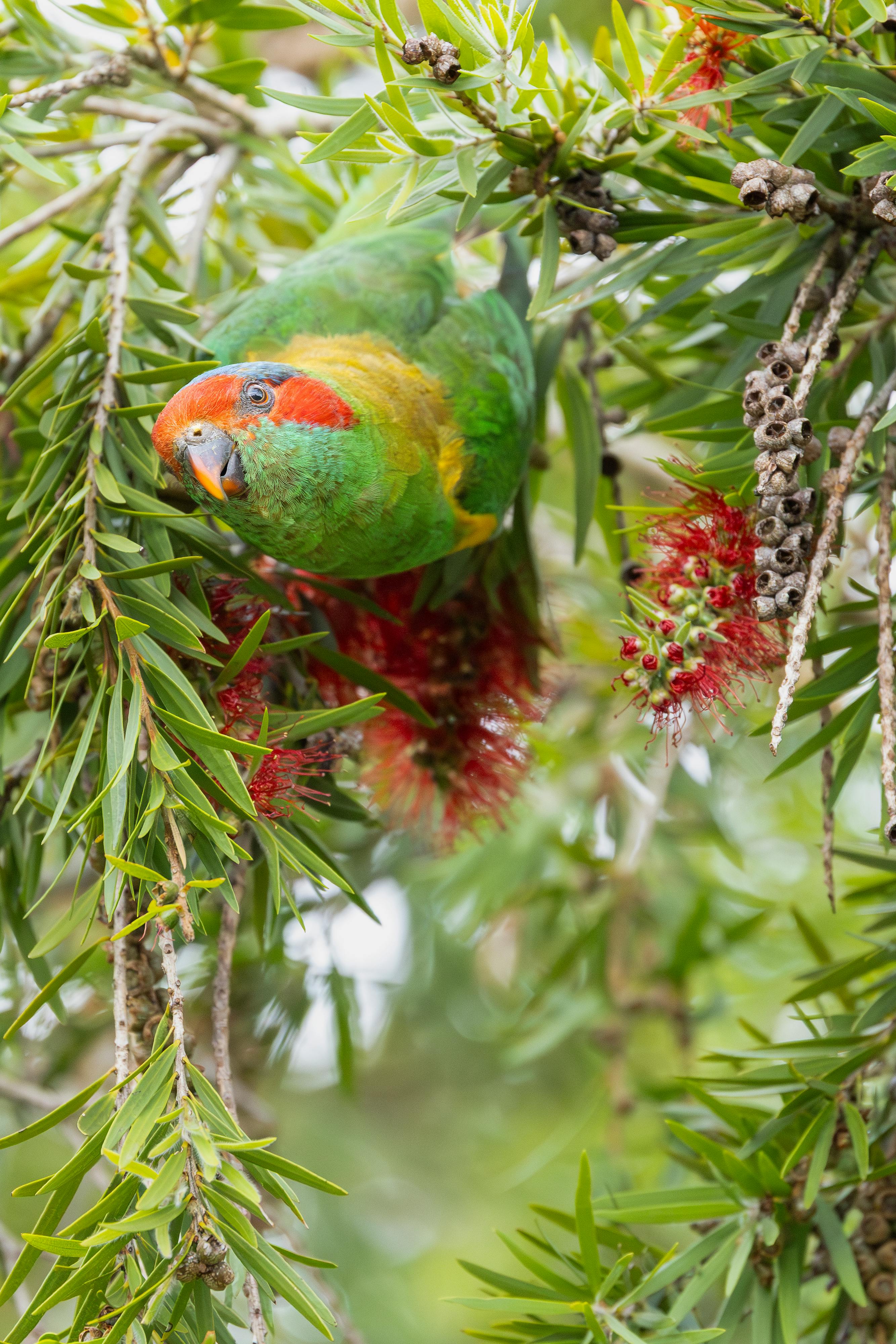 New+Lands+And+Old Photos, Download The BEST Free New+Lands+And+Old ...