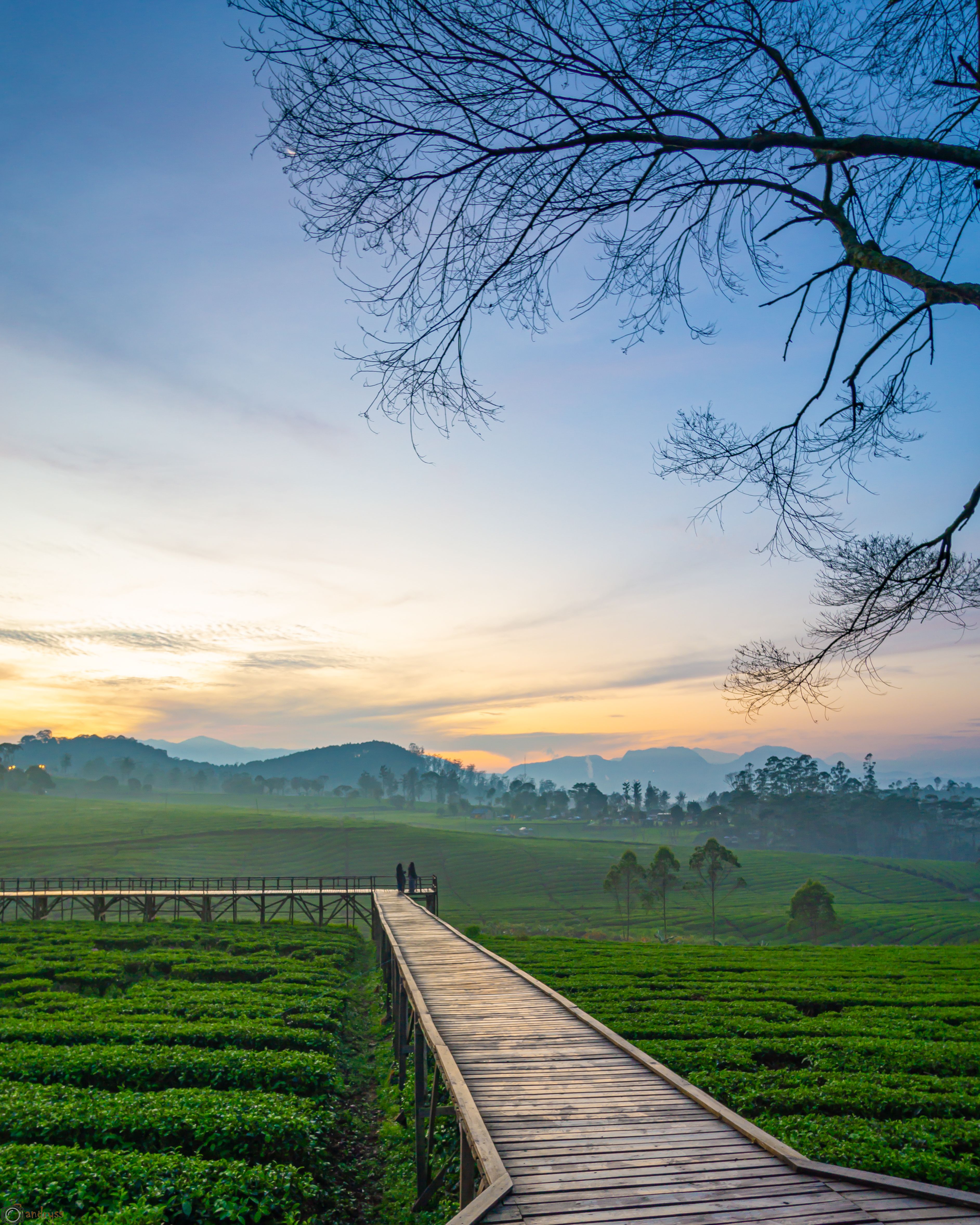 Ambient+Cg Photos, Download The BEST Free Ambient+Cg Stock Photos & HD ...