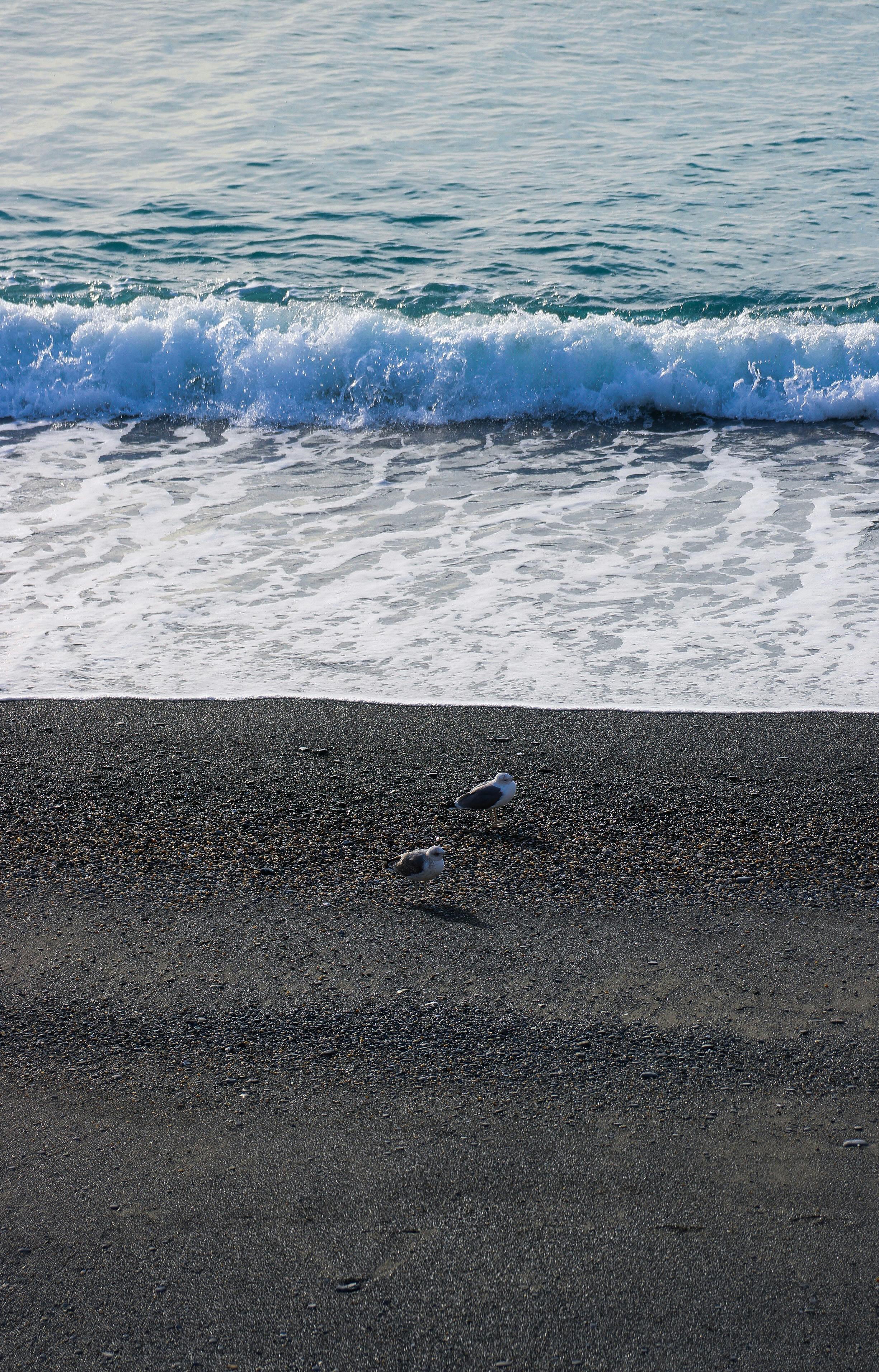 Video+On+Constellations Photos, Download The BEST Free Video+On ...