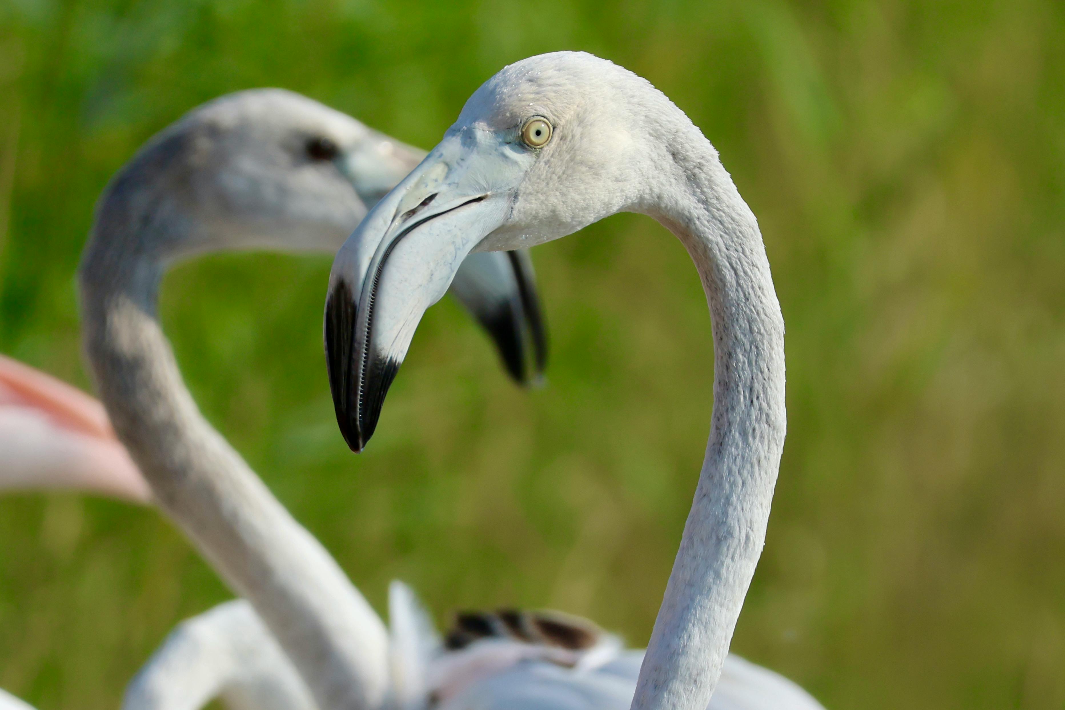 Exotic Beack Photos, Download The BEST Free Exotic Beack Stock Photos ...