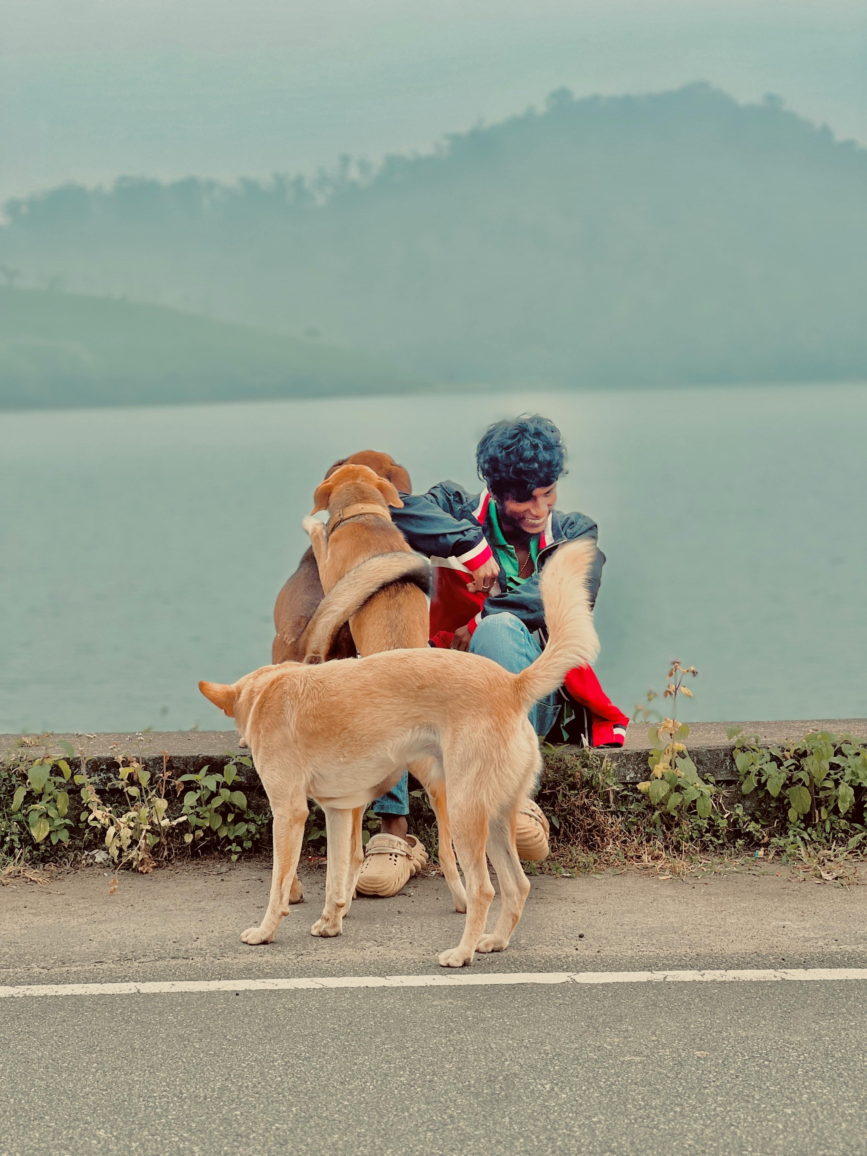 justin vendha - Photography