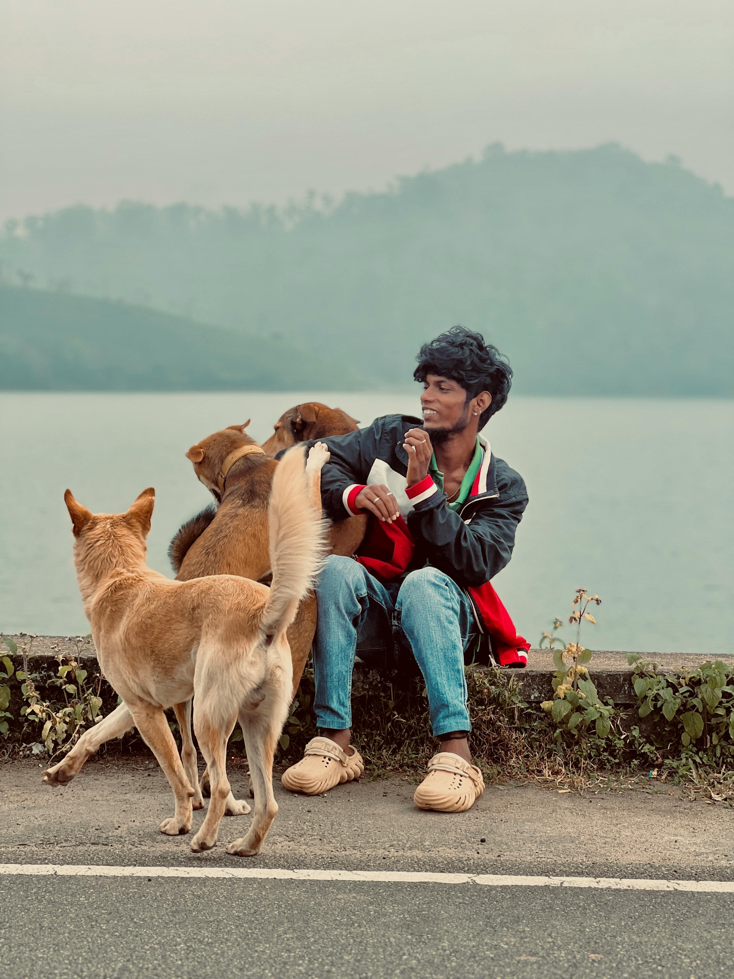 justin vendha - Photography