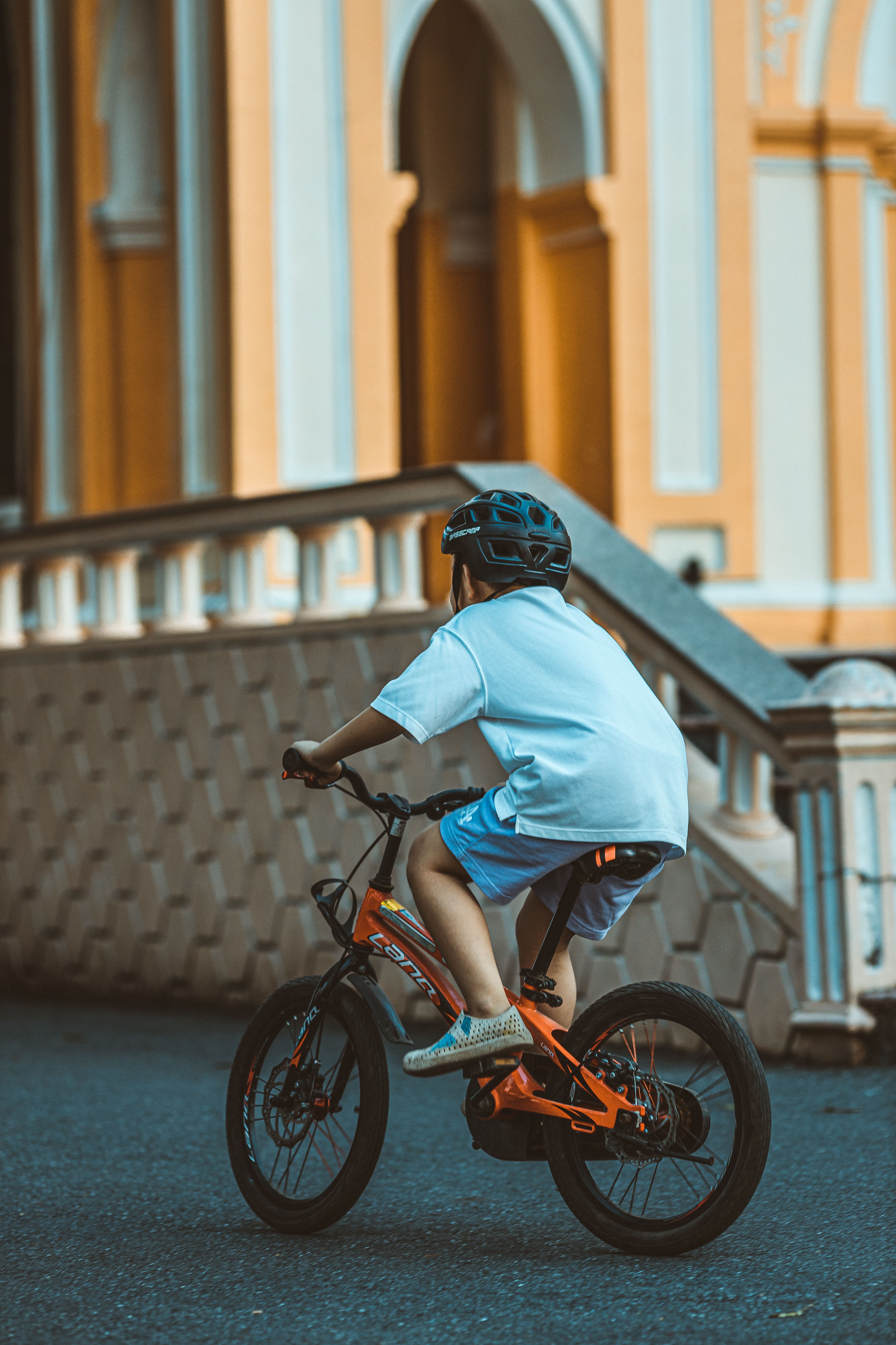 Pfp Boys Photos, Download The BEST Free Pfp Boys Stock Photos & HD Images