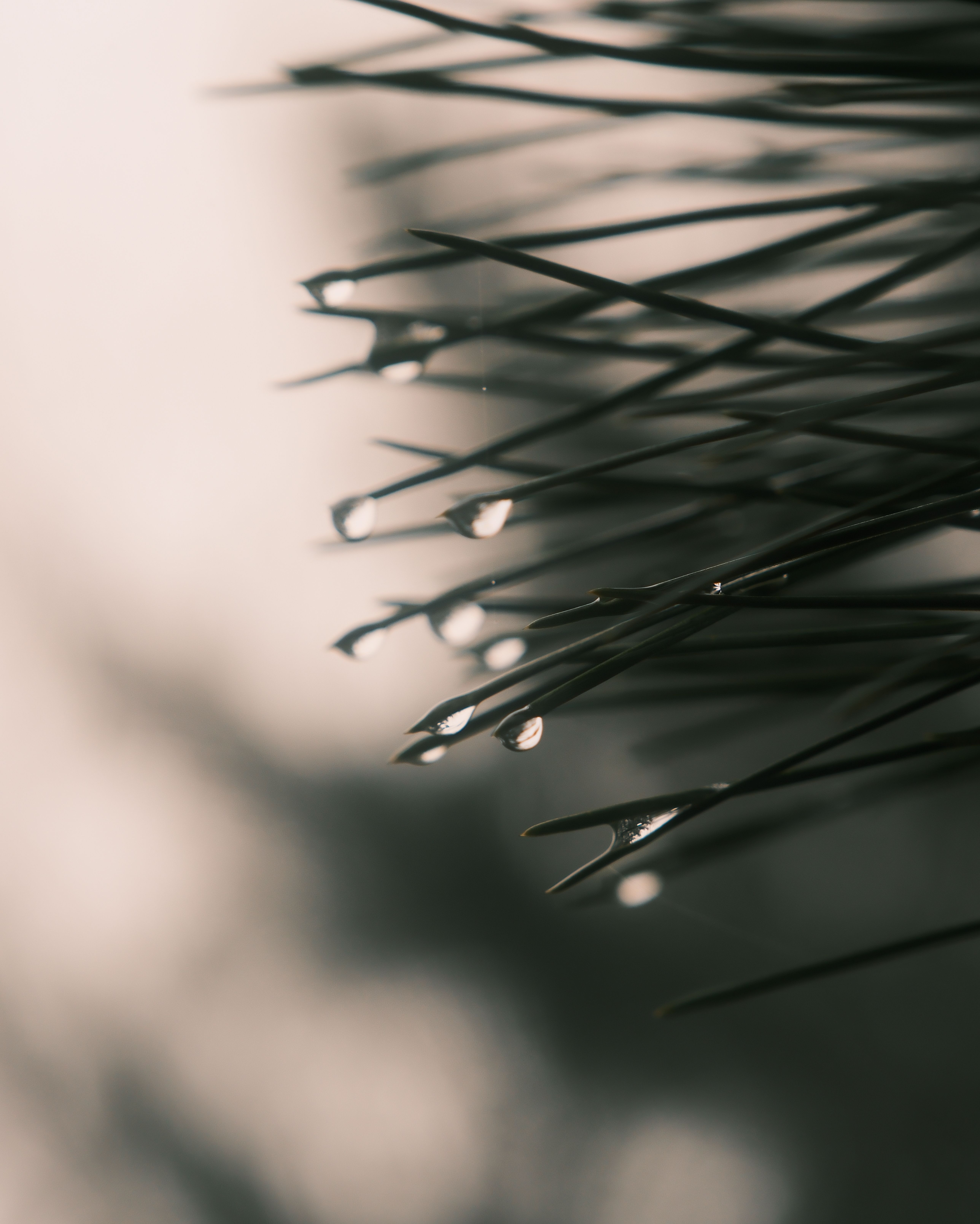 256 X 256 Photos, Download The BEST Free 256 X 256 Stock Photos & HD Images