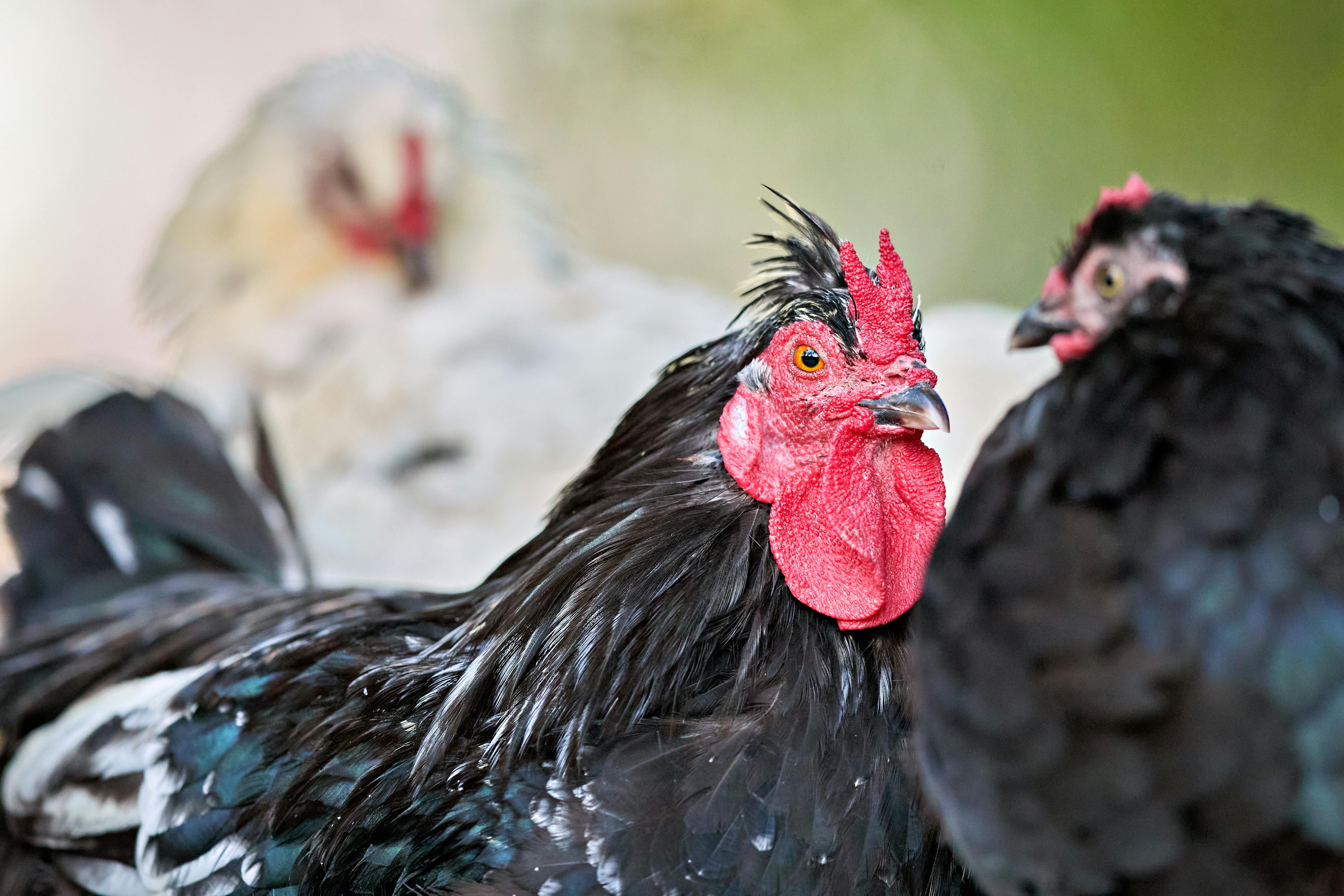 400+ Foto Cowok+ngocok+kontol Terbaik · Unduh Gratis 100% · Foto Stok Pexels