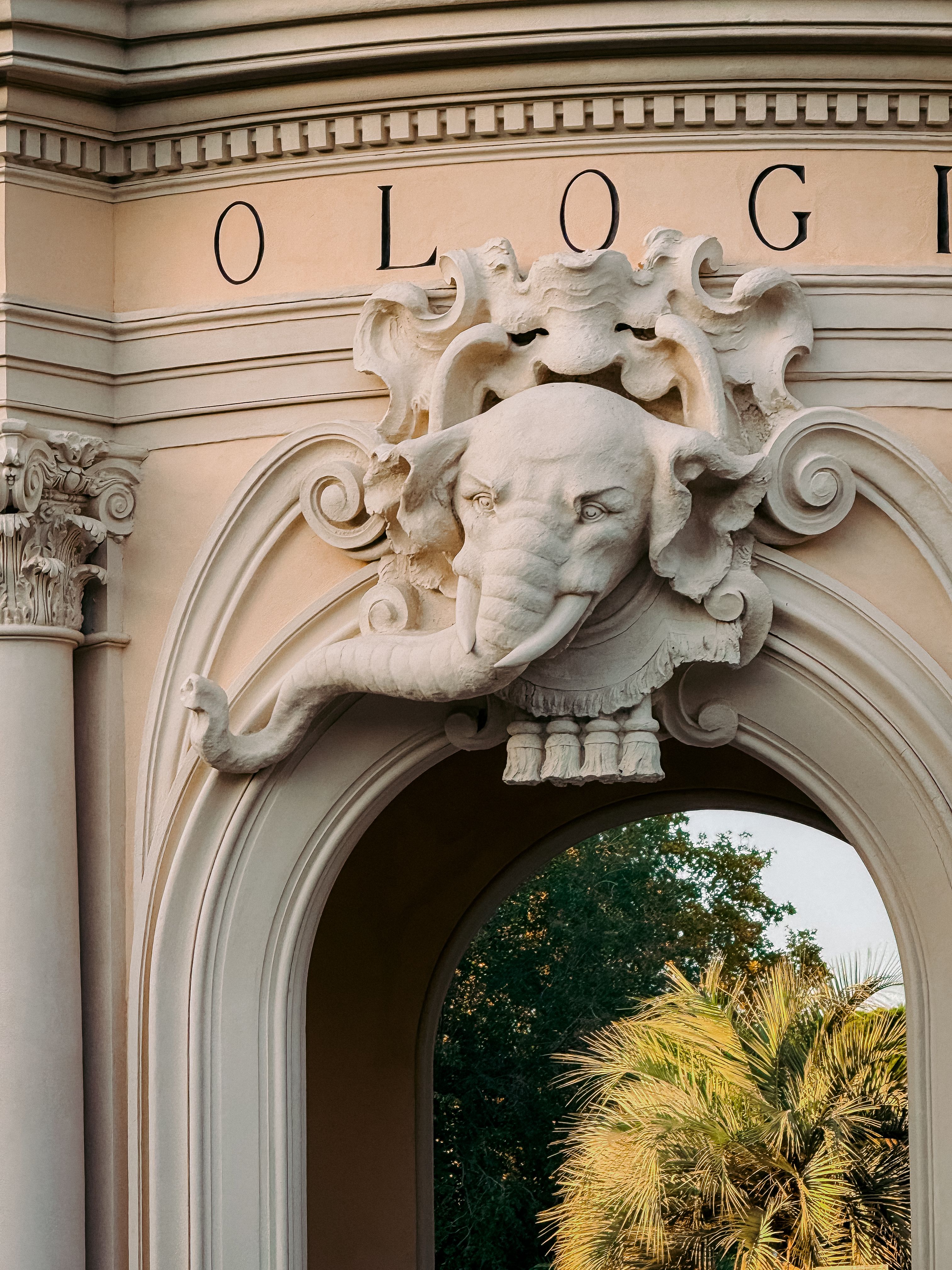 Elephant Sculpture on Building in Rome · Free Stock Photo