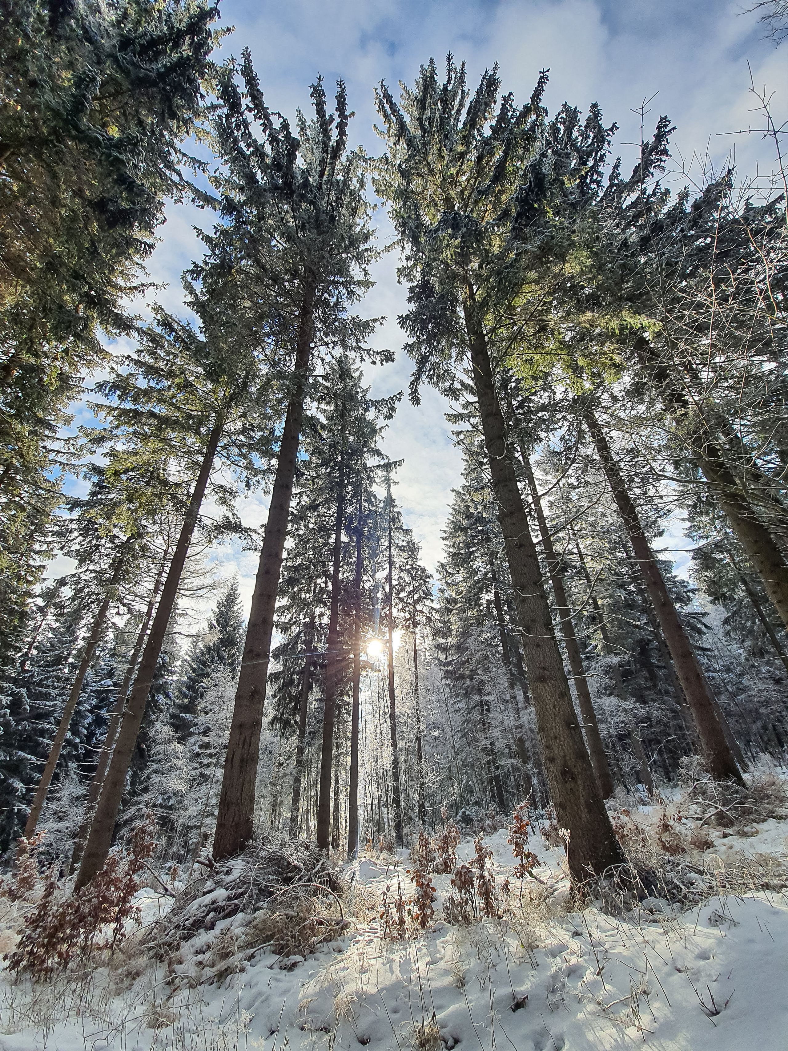 Clean Air Photos, Download The BEST Free Clean Air Stock Photos & HD Images