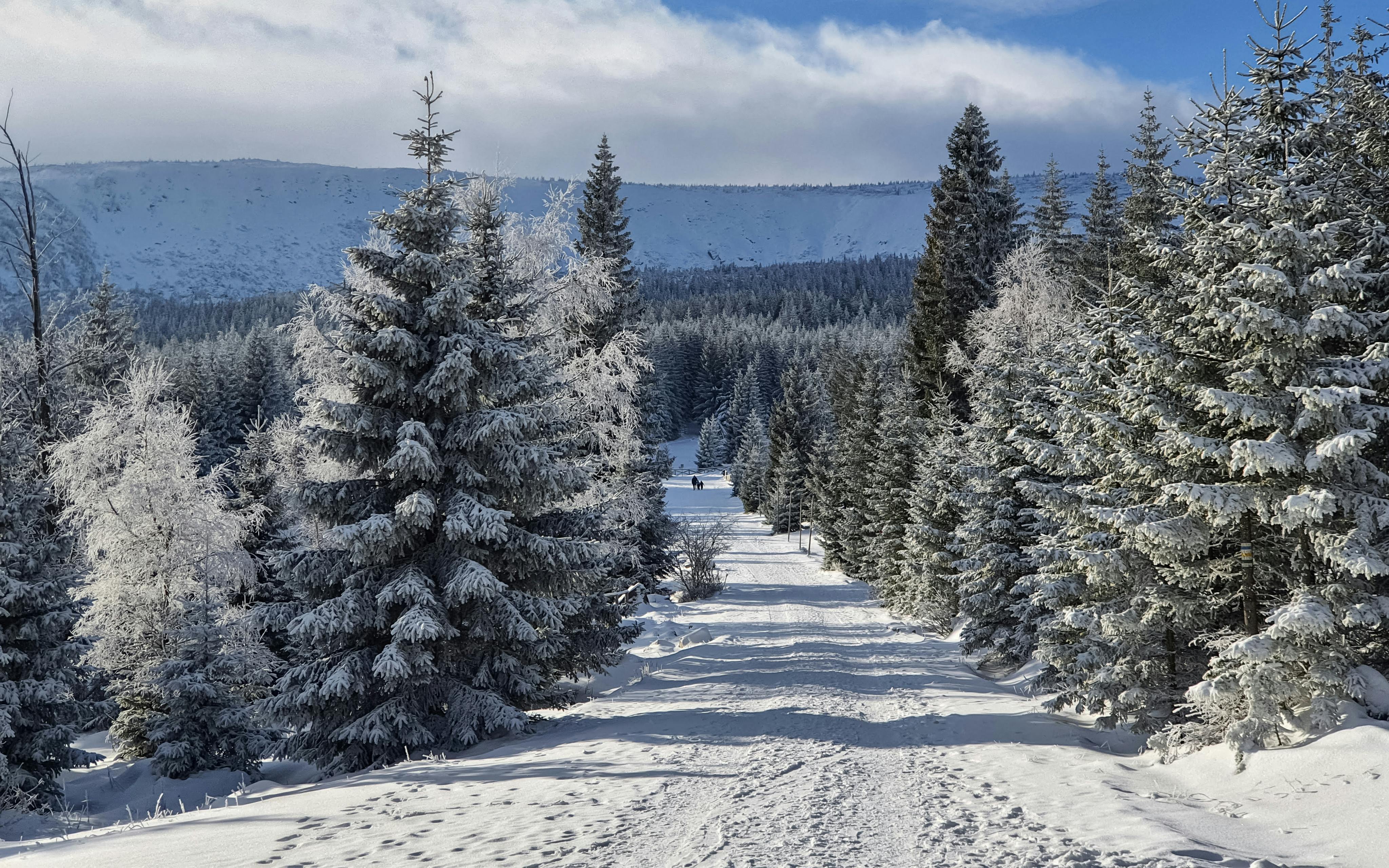 Polish+Ala+Satin Photos, Download The BEST Free Polish+Ala+Satin Stock ...