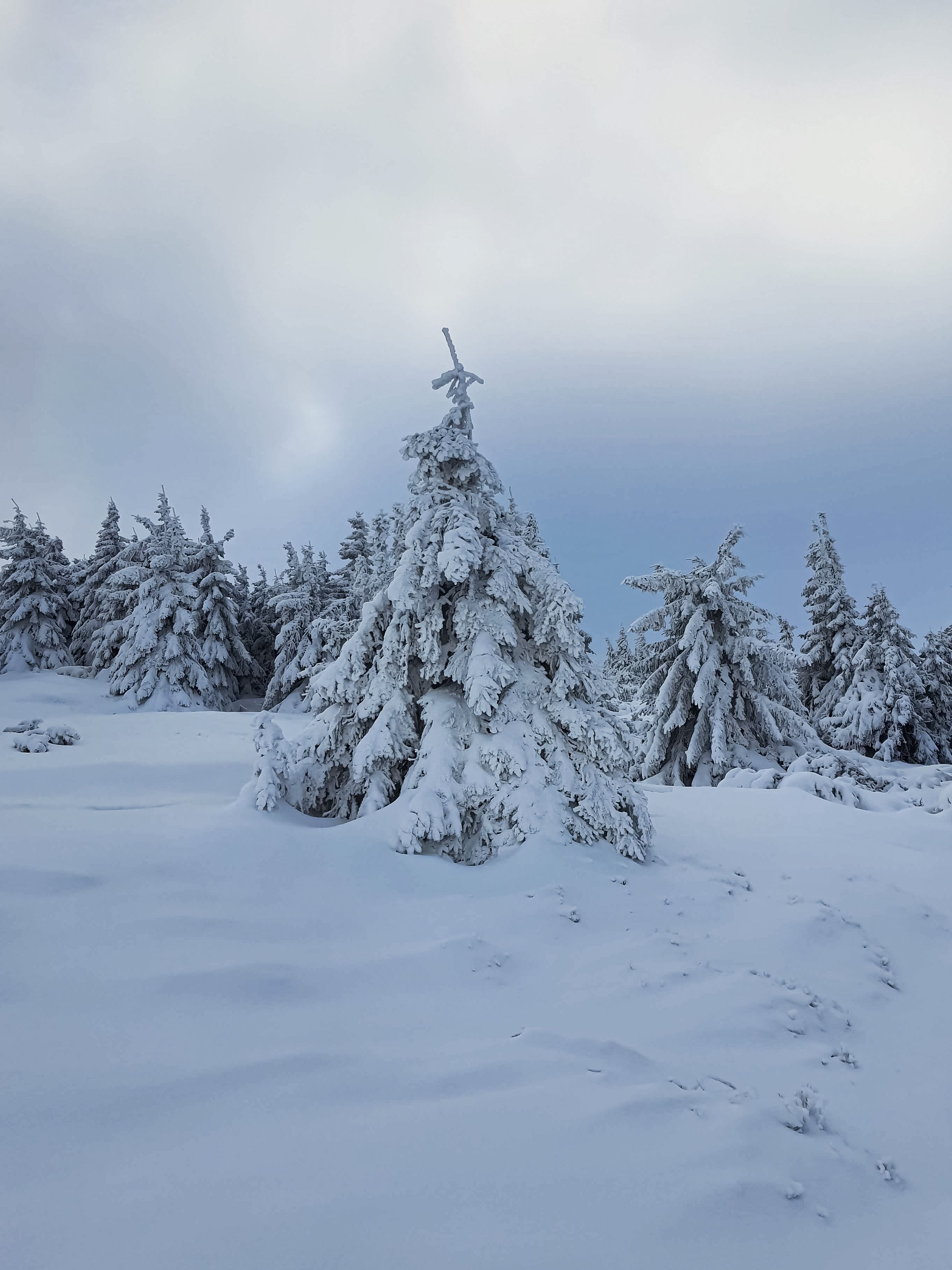 Clean Air Photos, Download The BEST Free Clean Air Stock Photos & HD Images