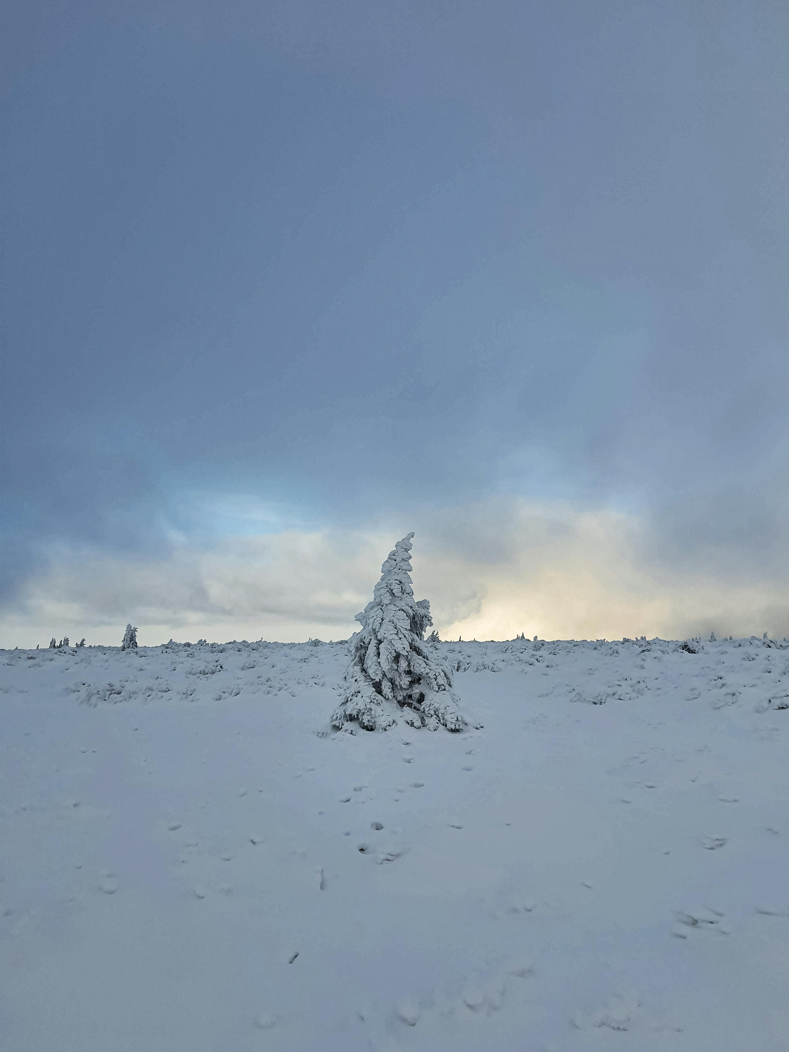 Landscape Winter Scenes Photos, Download The BEST Free Landscape Winter ...