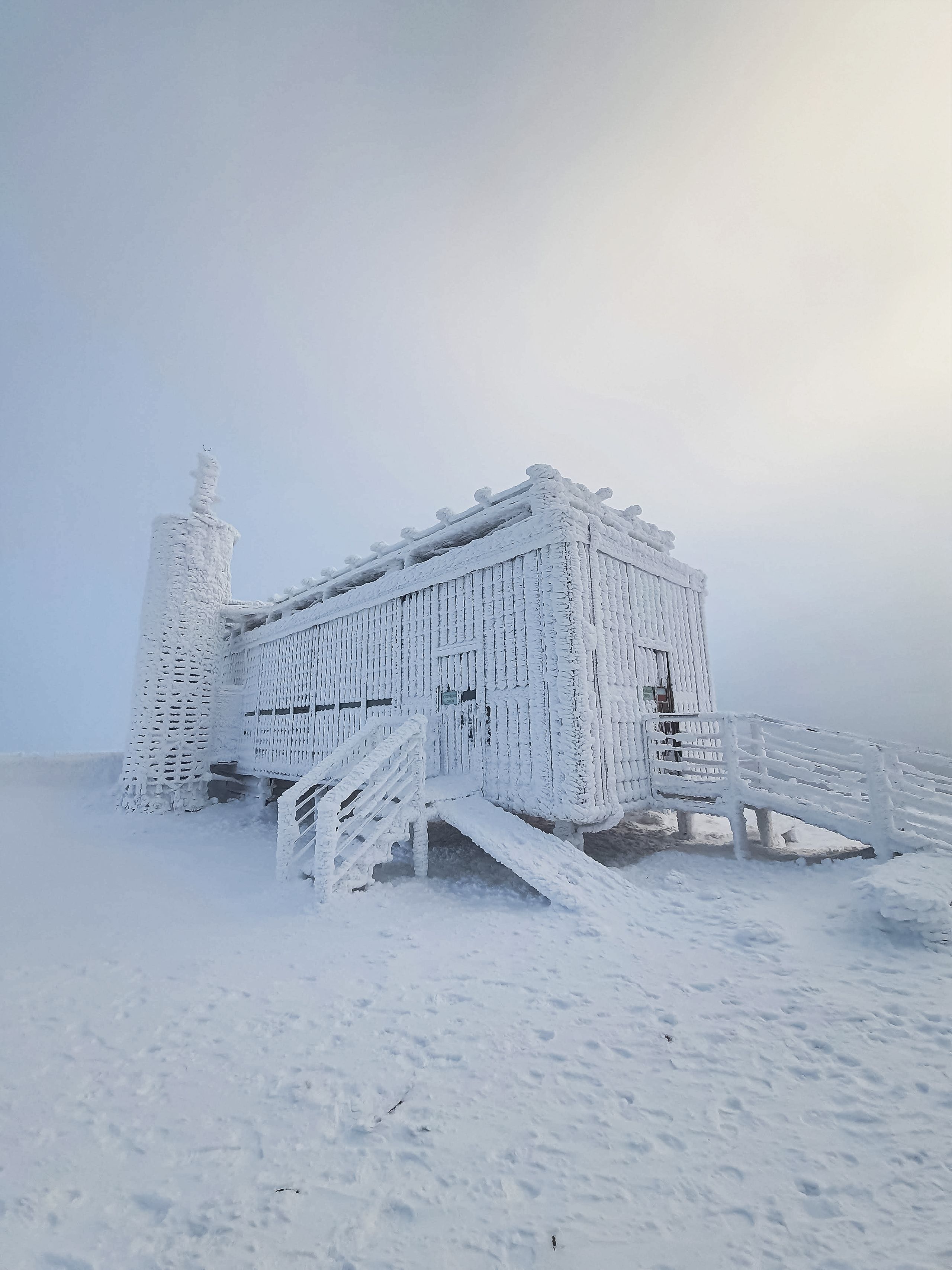 Cold+Pfp Photos, Download The BEST Free Cold+Pfp Stock Photos & HD Images