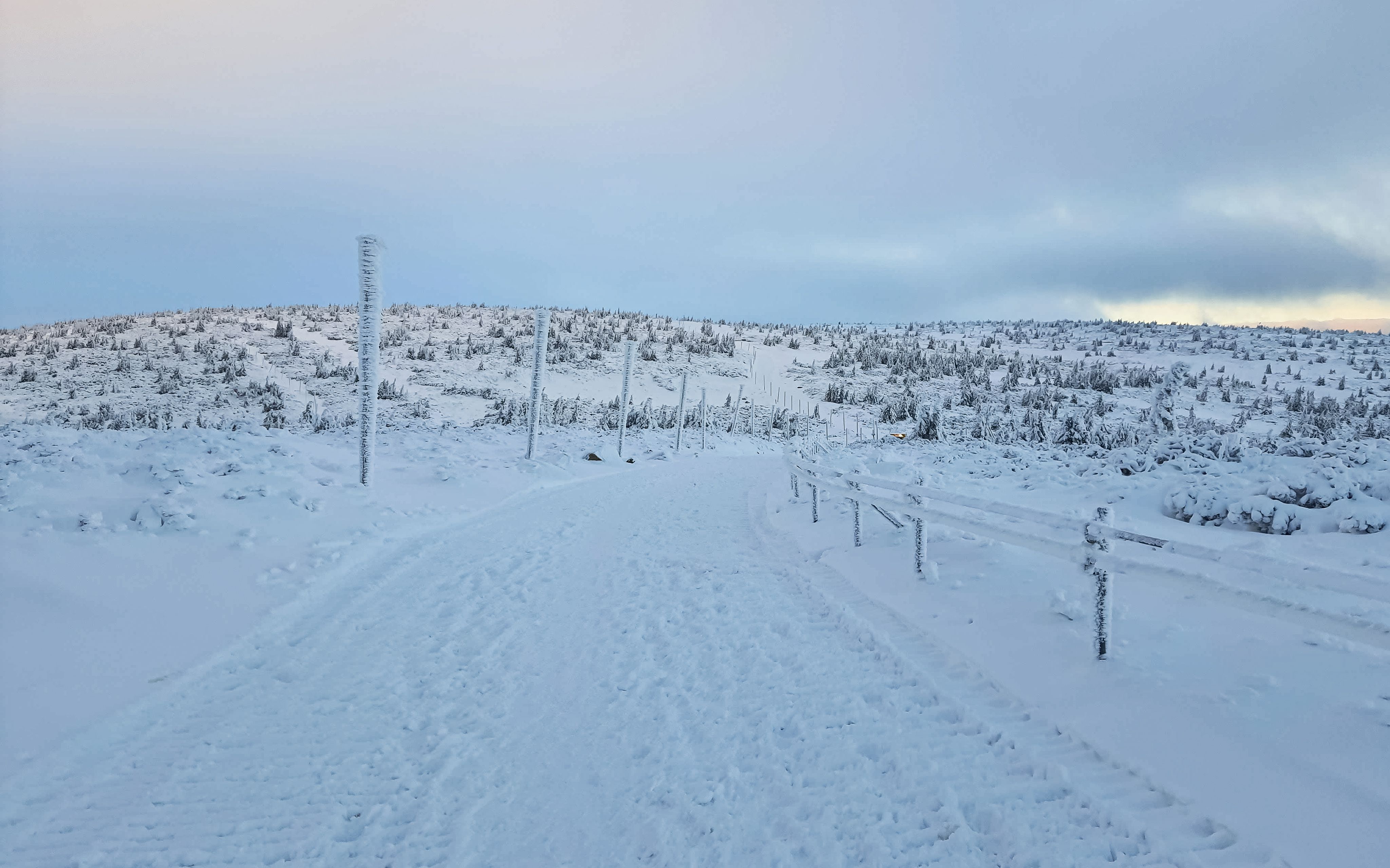 January Theme Photos, Download The BEST Free January Theme Stock Photos ...
