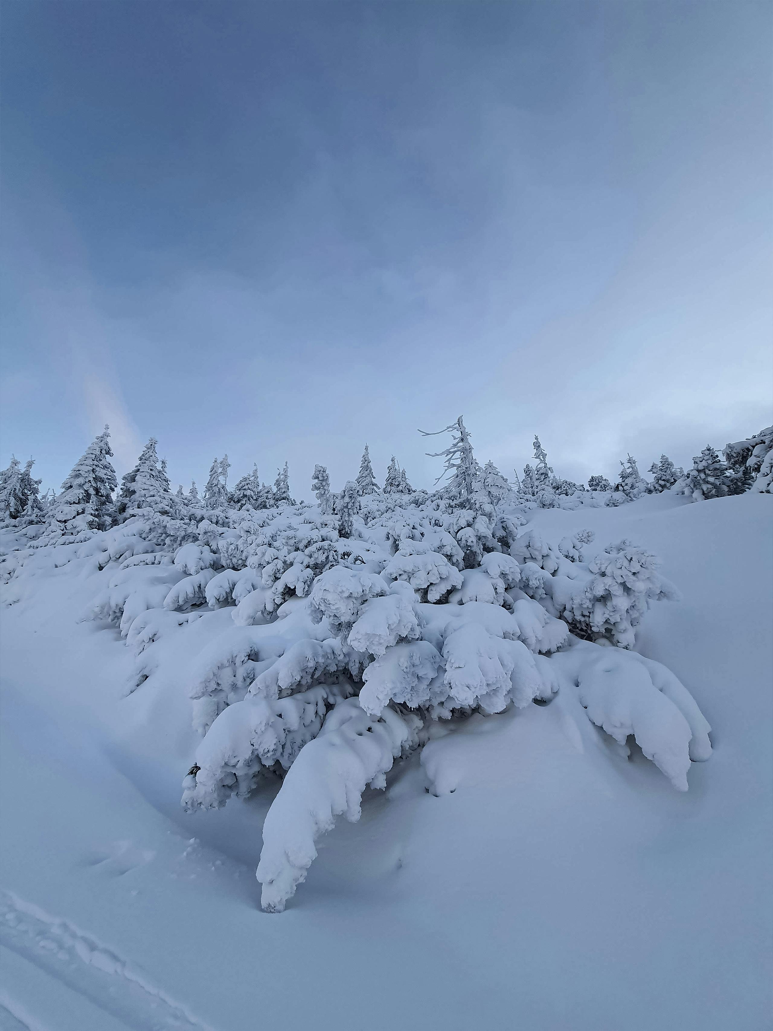 Landscape Winter Scenes Photos, Download The BEST Free Landscape Winter ...