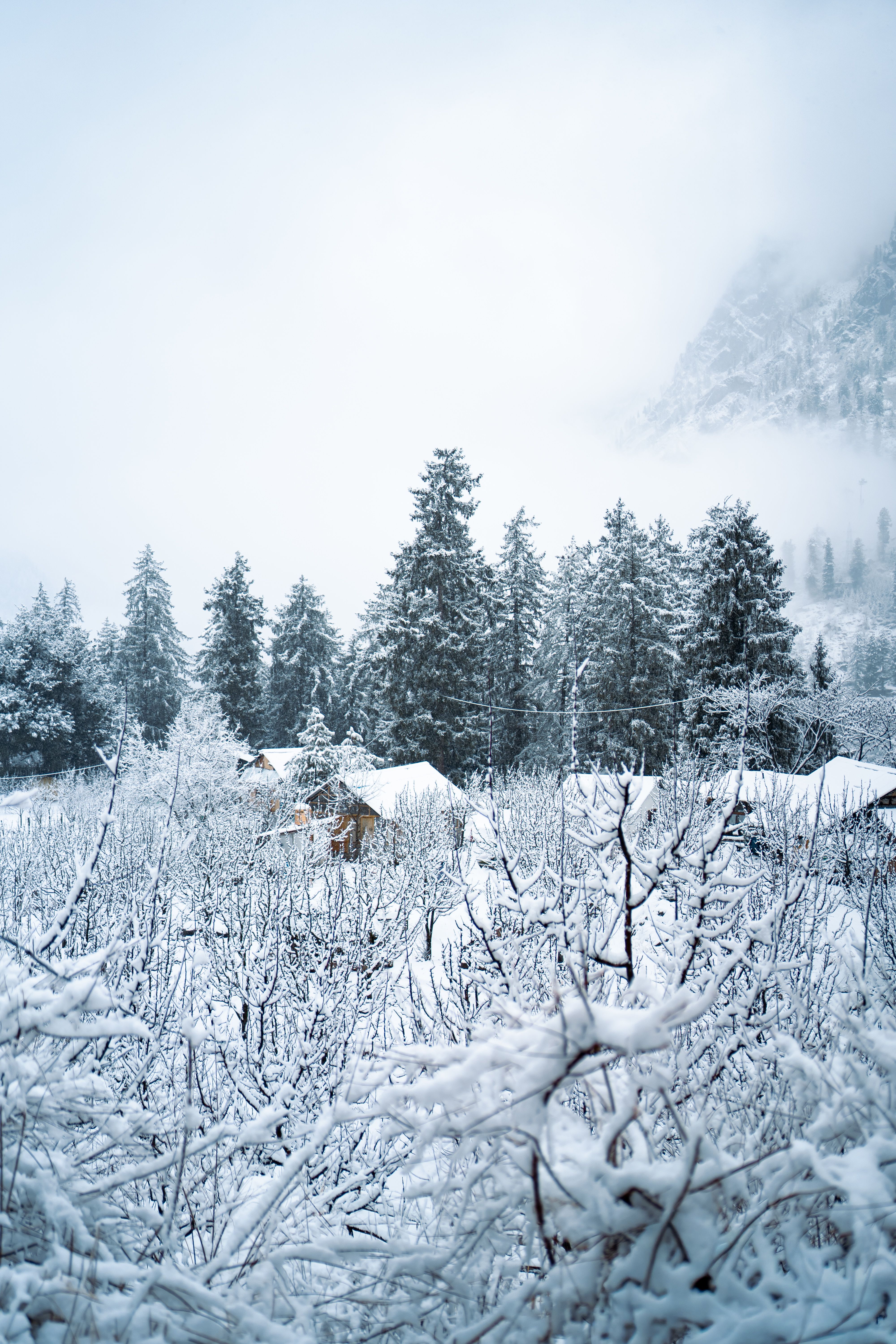 Photo of Snowy Field · Free Stock Photo