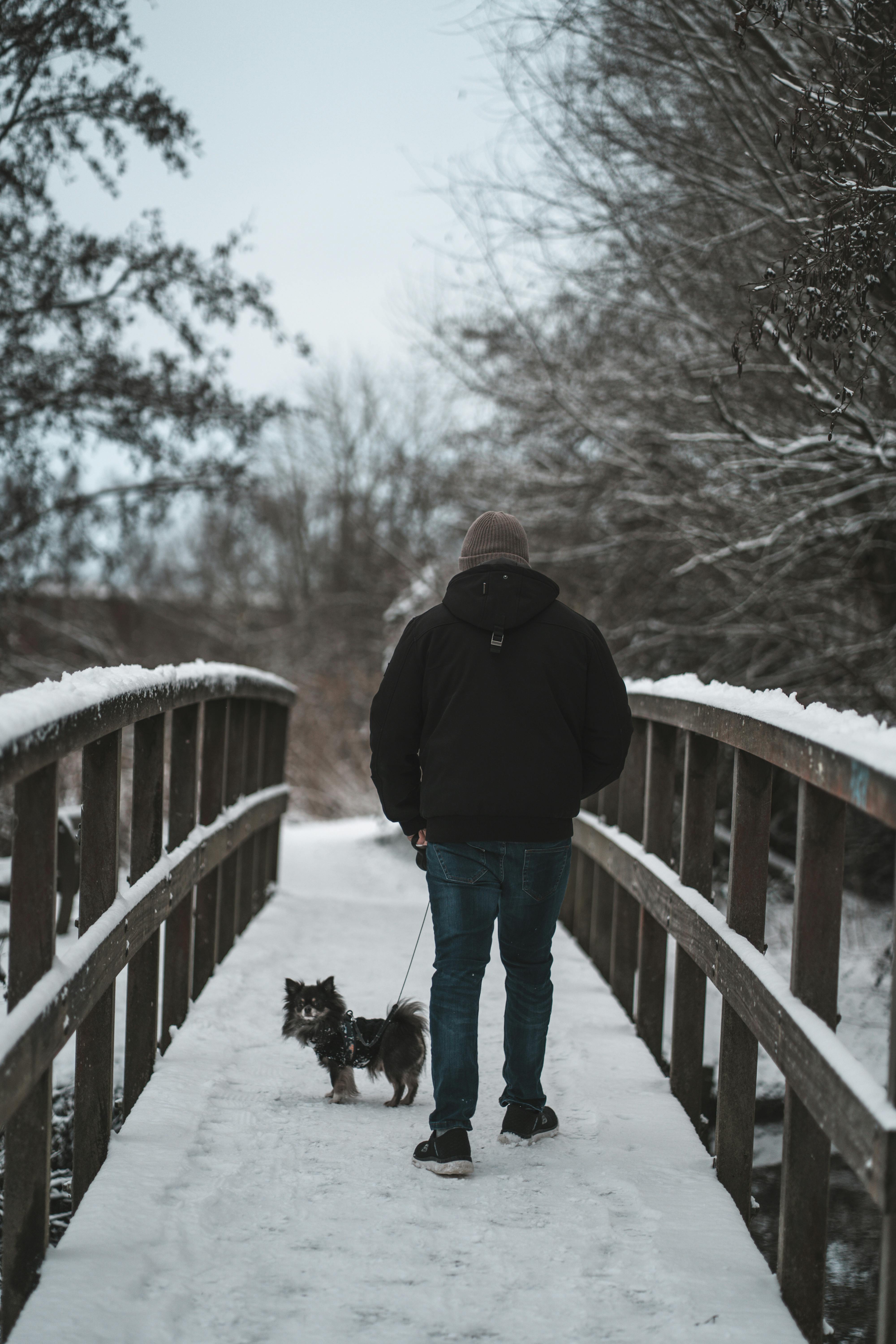 Man Walking Dog on Snowy Bridge in Winter · Free Stock Photo