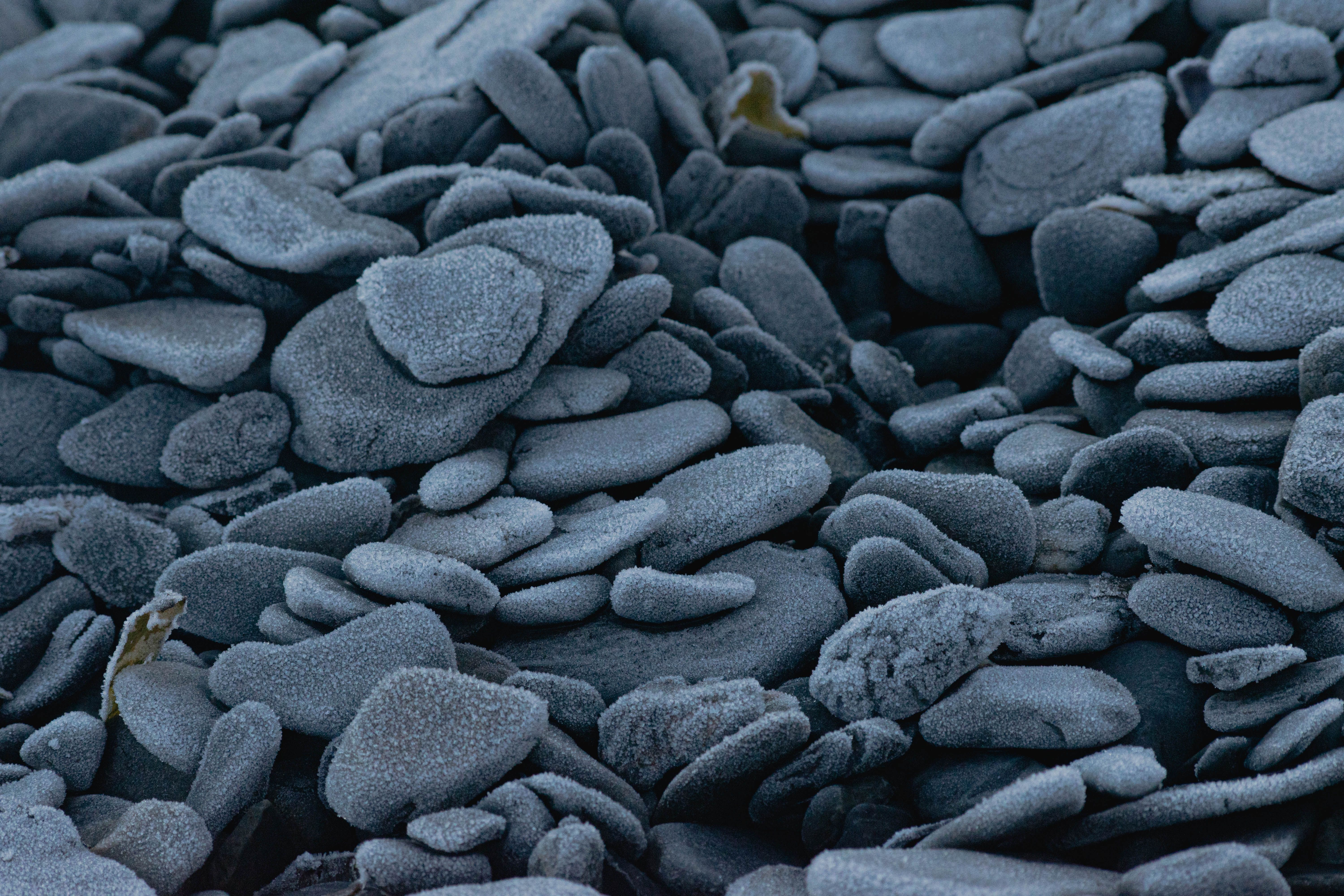 Frost-Covered Pebbles Creating a Winter Texture · Free Stock Photo
