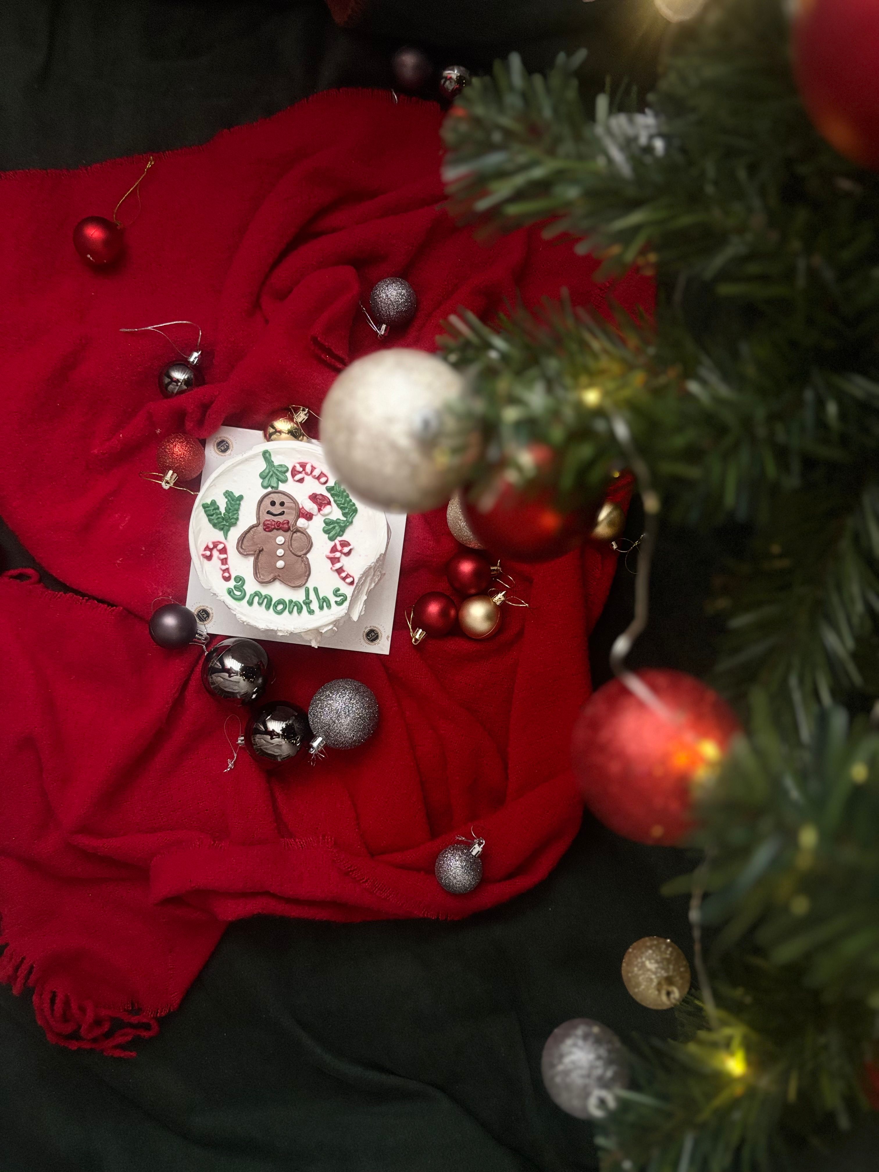 Festive Christmas Scene with Tree and Decorations · Free Stock Photo