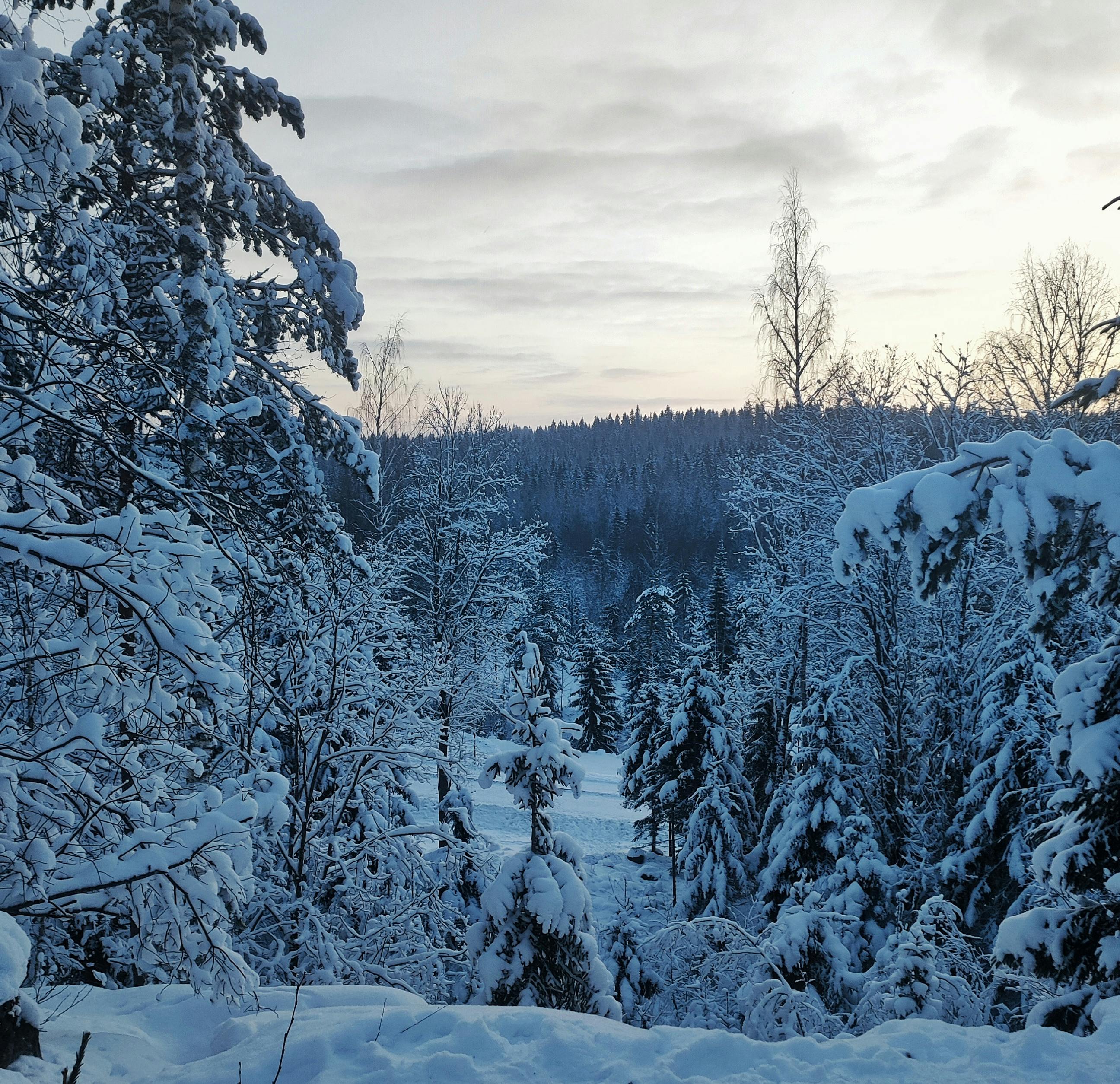 Mahershala+Ali+Jay Z+Video Photos, Download The BEST Free Mahershala ...