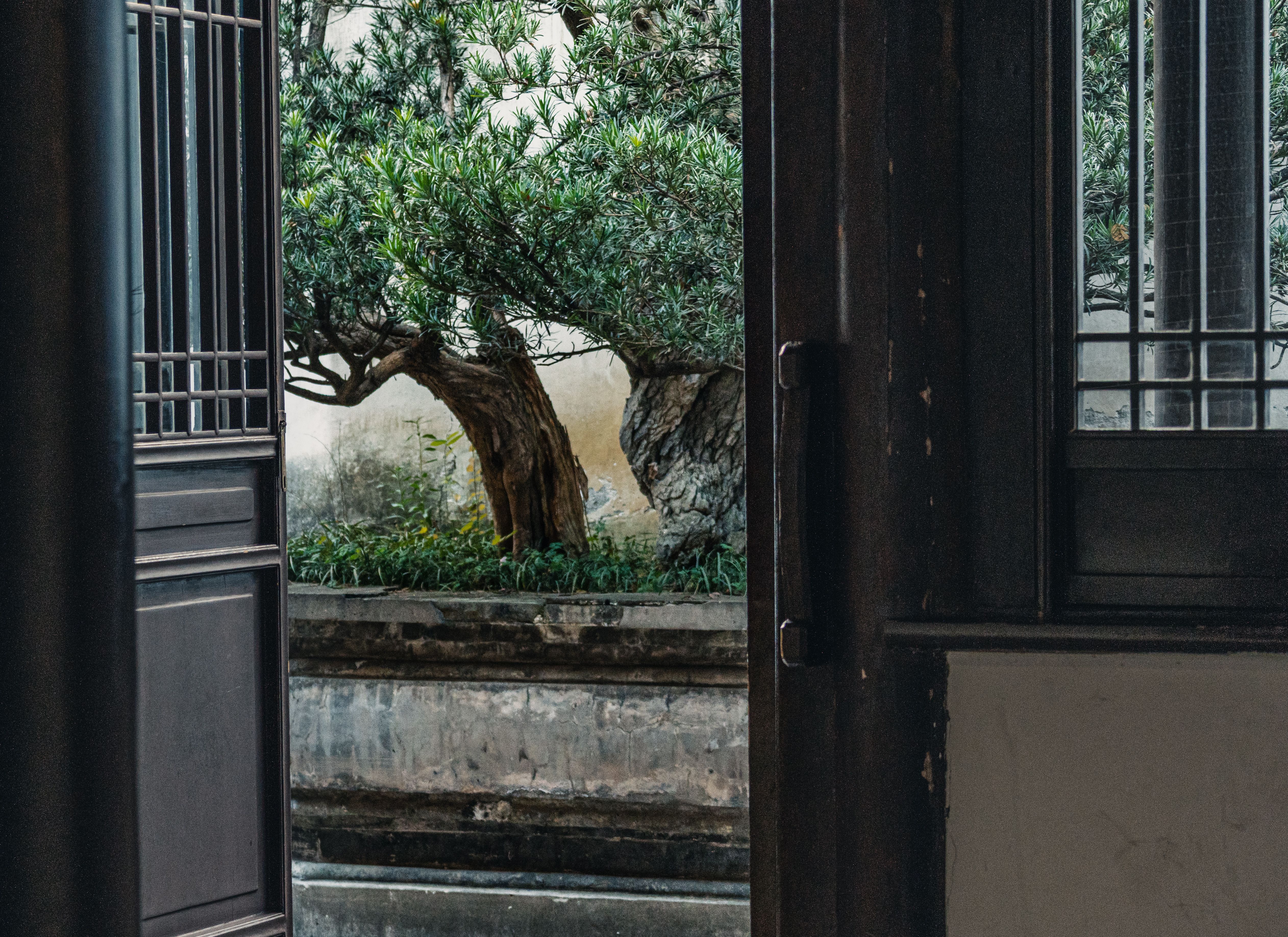 Serene Garden View Through Open Doorway · Free Stock Photo