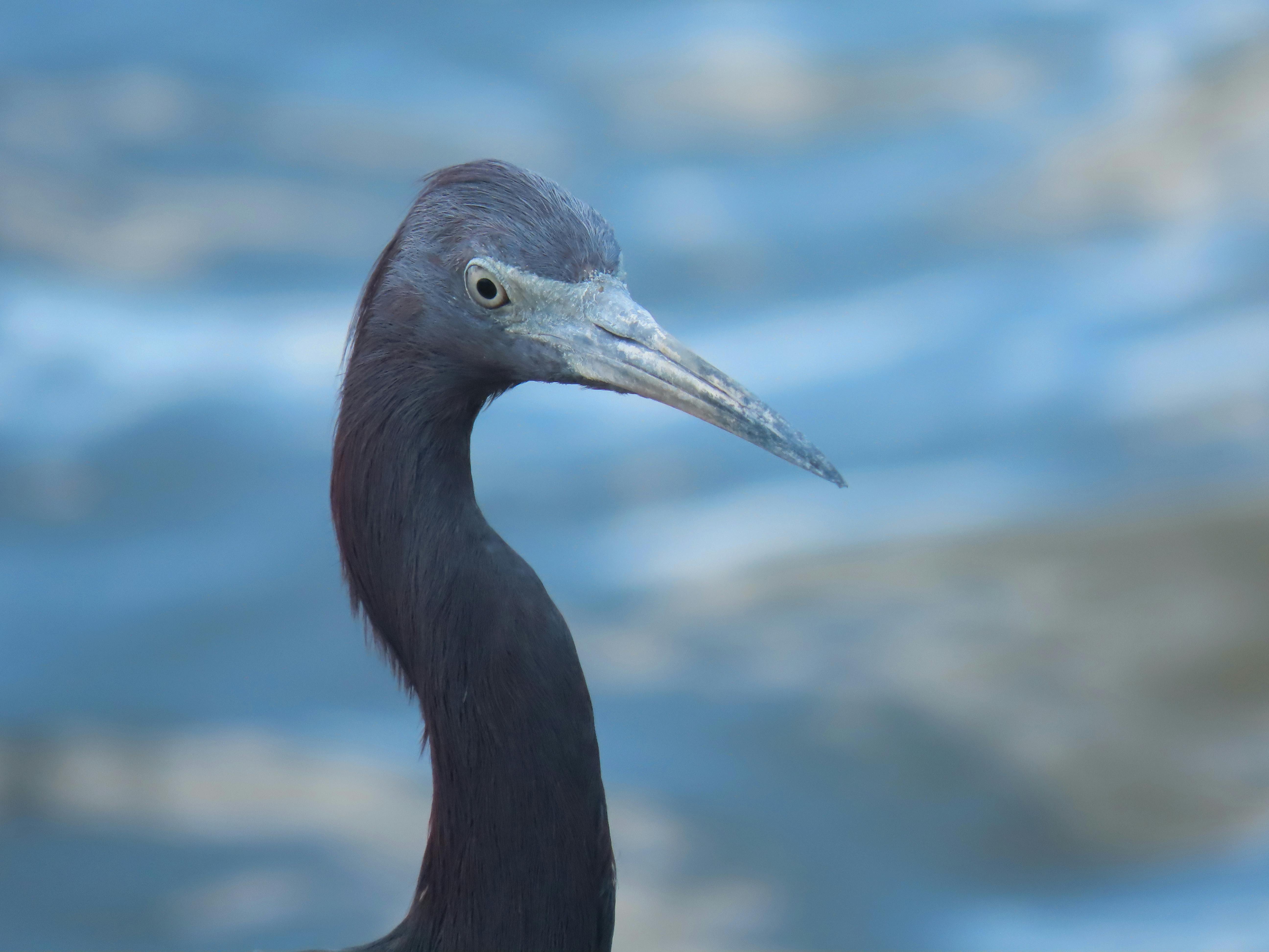 Imgs Photo Photos, Download The BEST Free Imgs Photo Stock Photos & HD ...