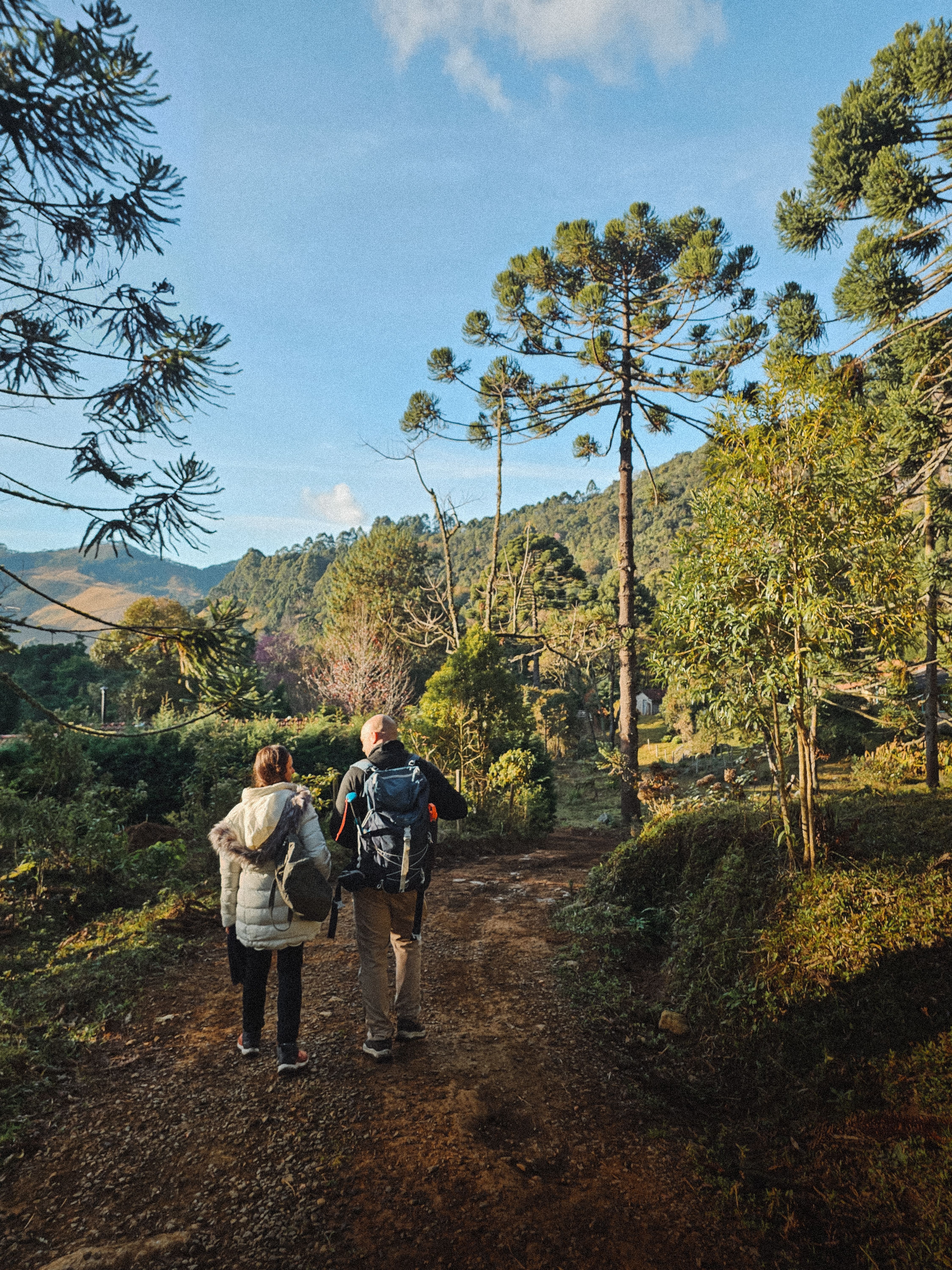 Scenic Mountain Hike in Brazilian Forest · Free Stock Photo