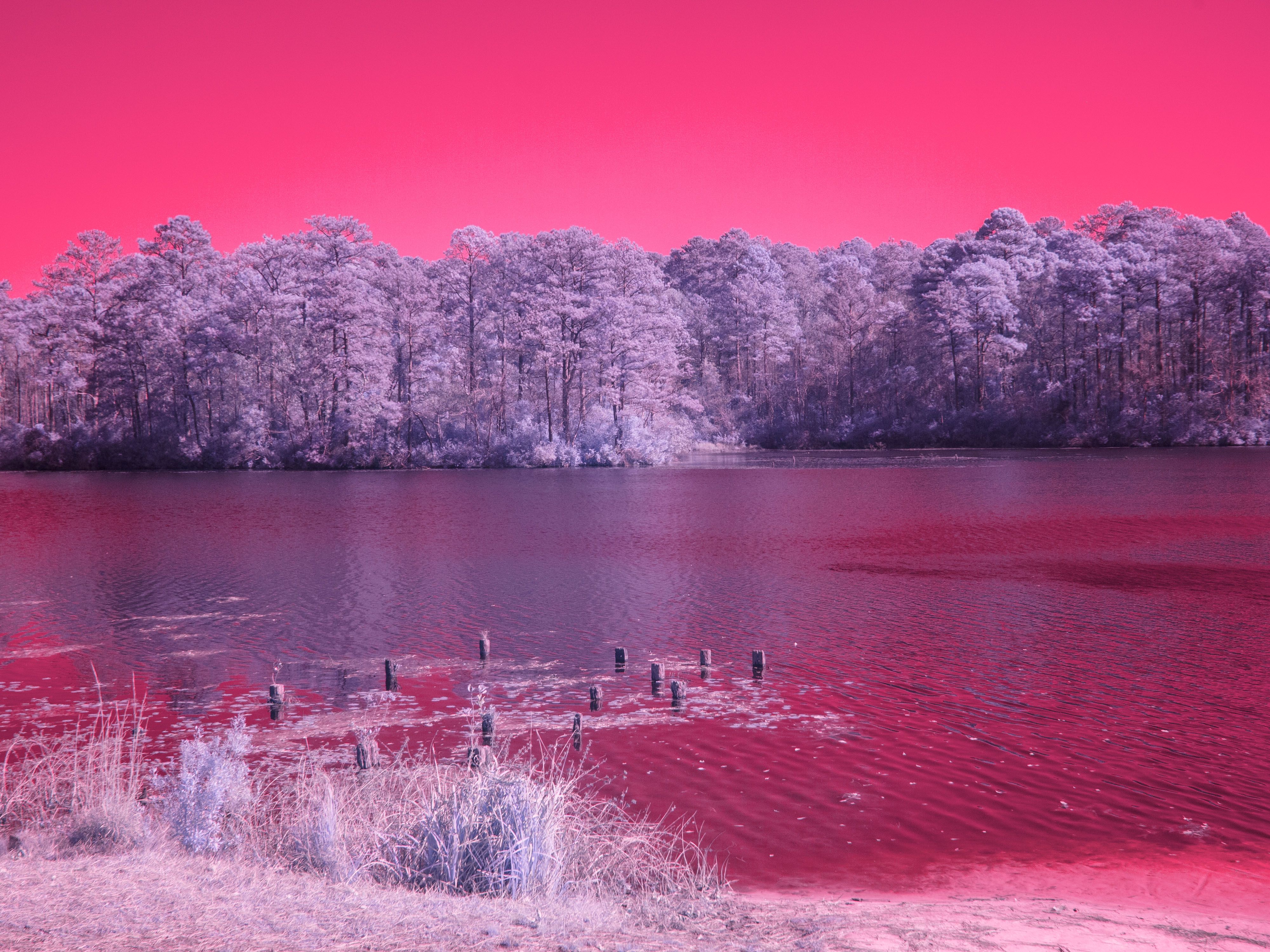 Magenta Landscape Photos, Download The BEST Free Magenta Landscape ...