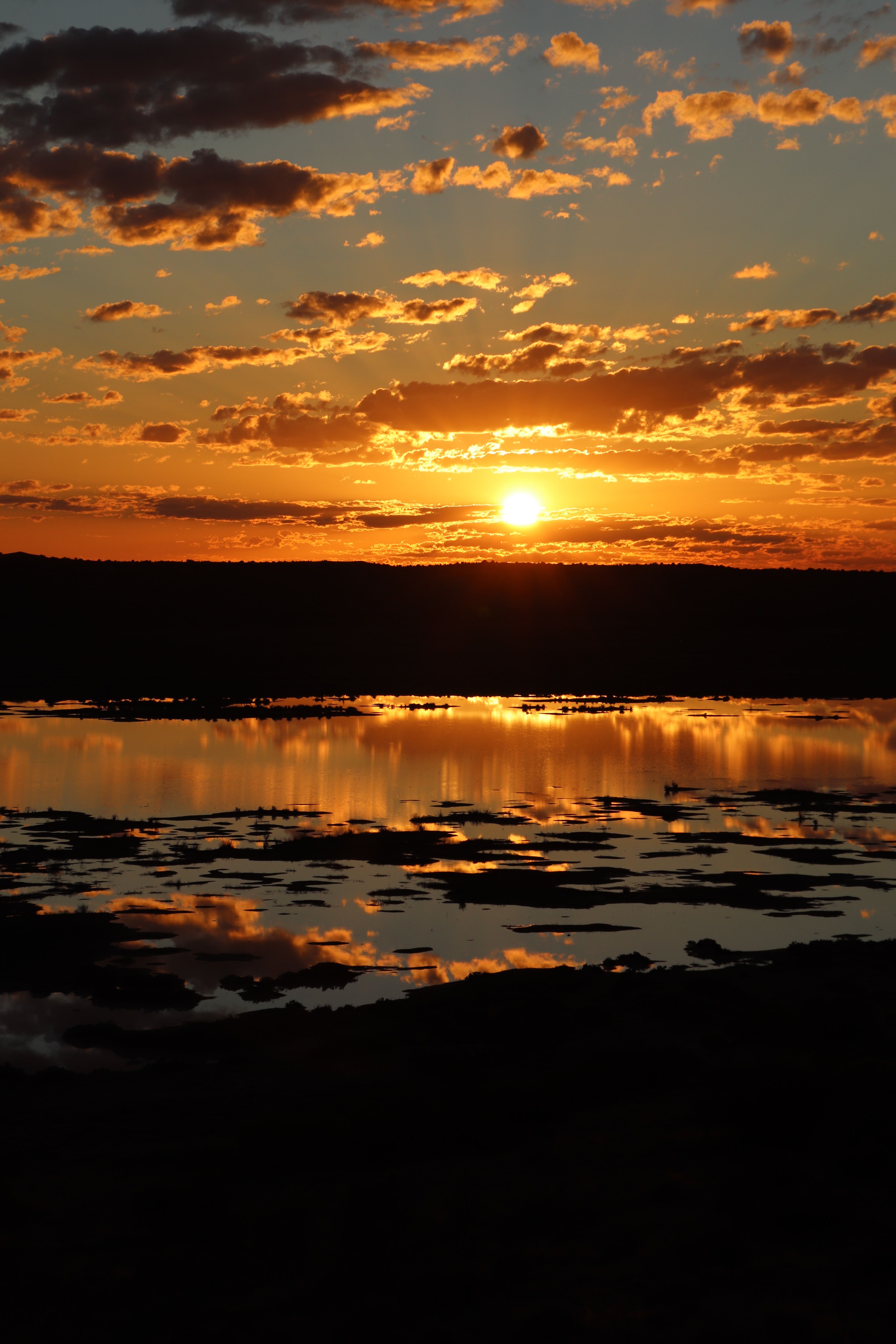 Mesmerizing Australian Sunset Over Water · Free Stock Photo