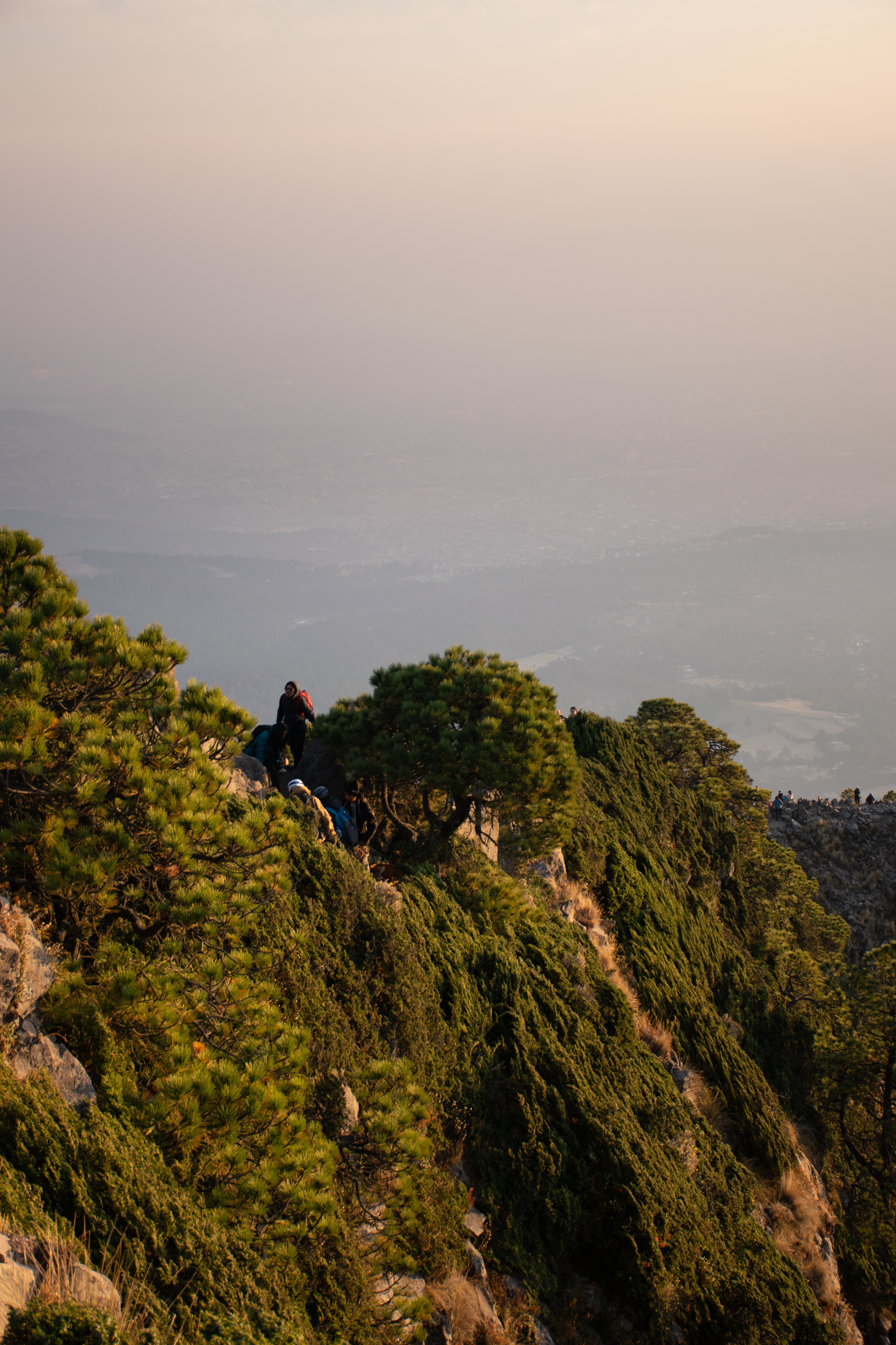 Hiking Adventure on a Pine-Covered Mountain Ridge · Free Stock Photo