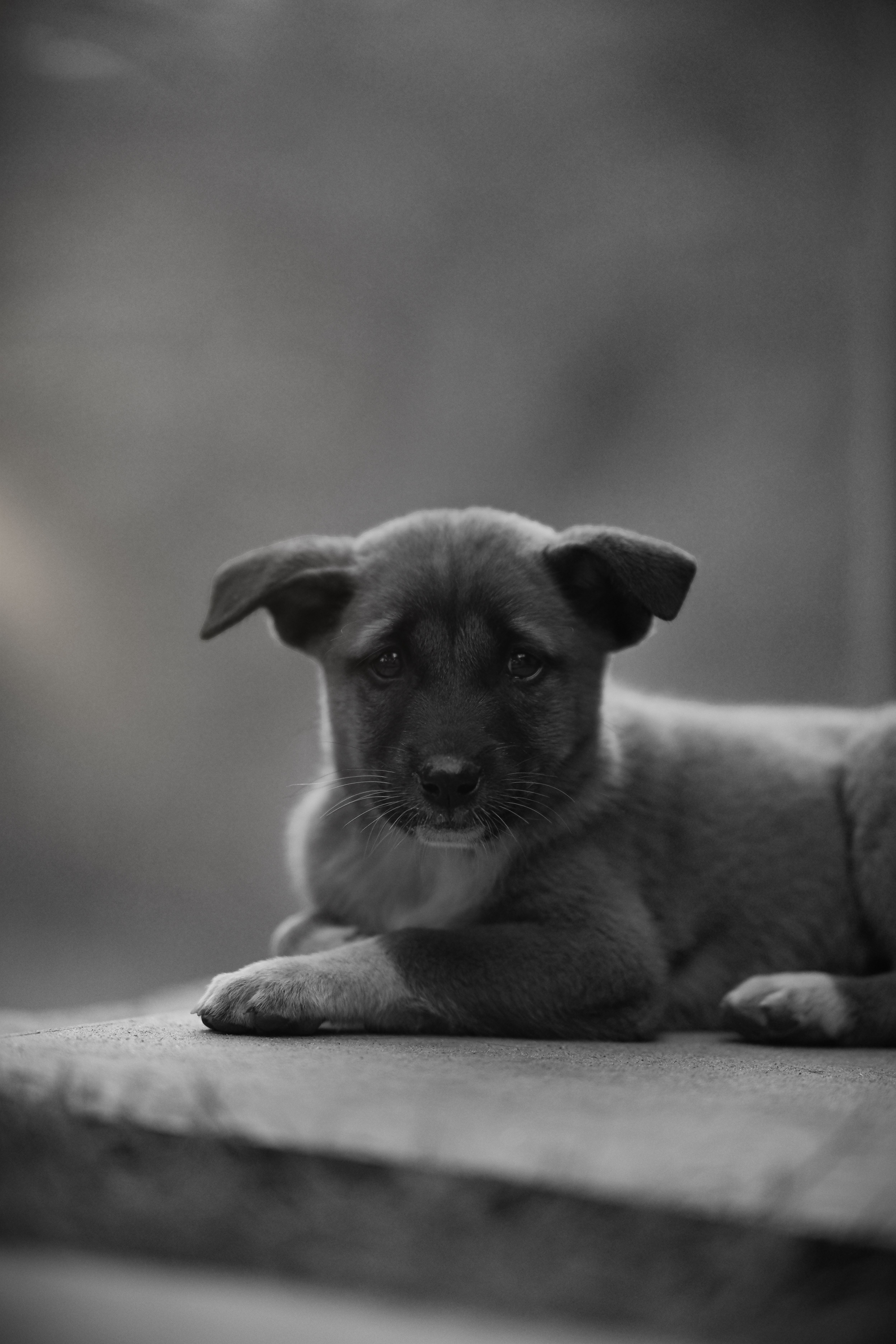 100.000+ Makkgin+face Bilder und Fotos · Kostenlos Downloaden · Pexels ...
