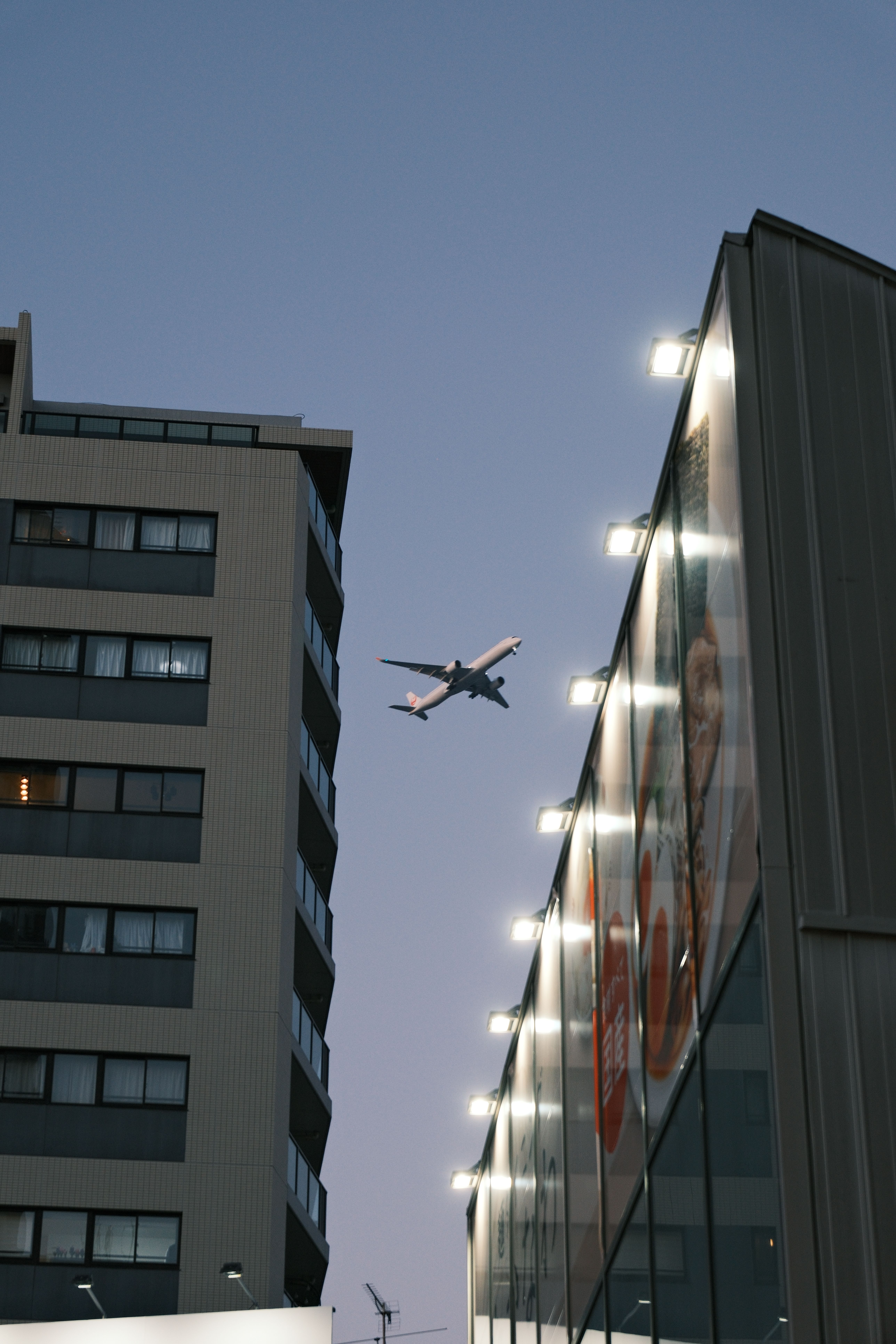 Airplane Flying Over Tokyo Skyscrapers at Twilight · Free Stock Photo