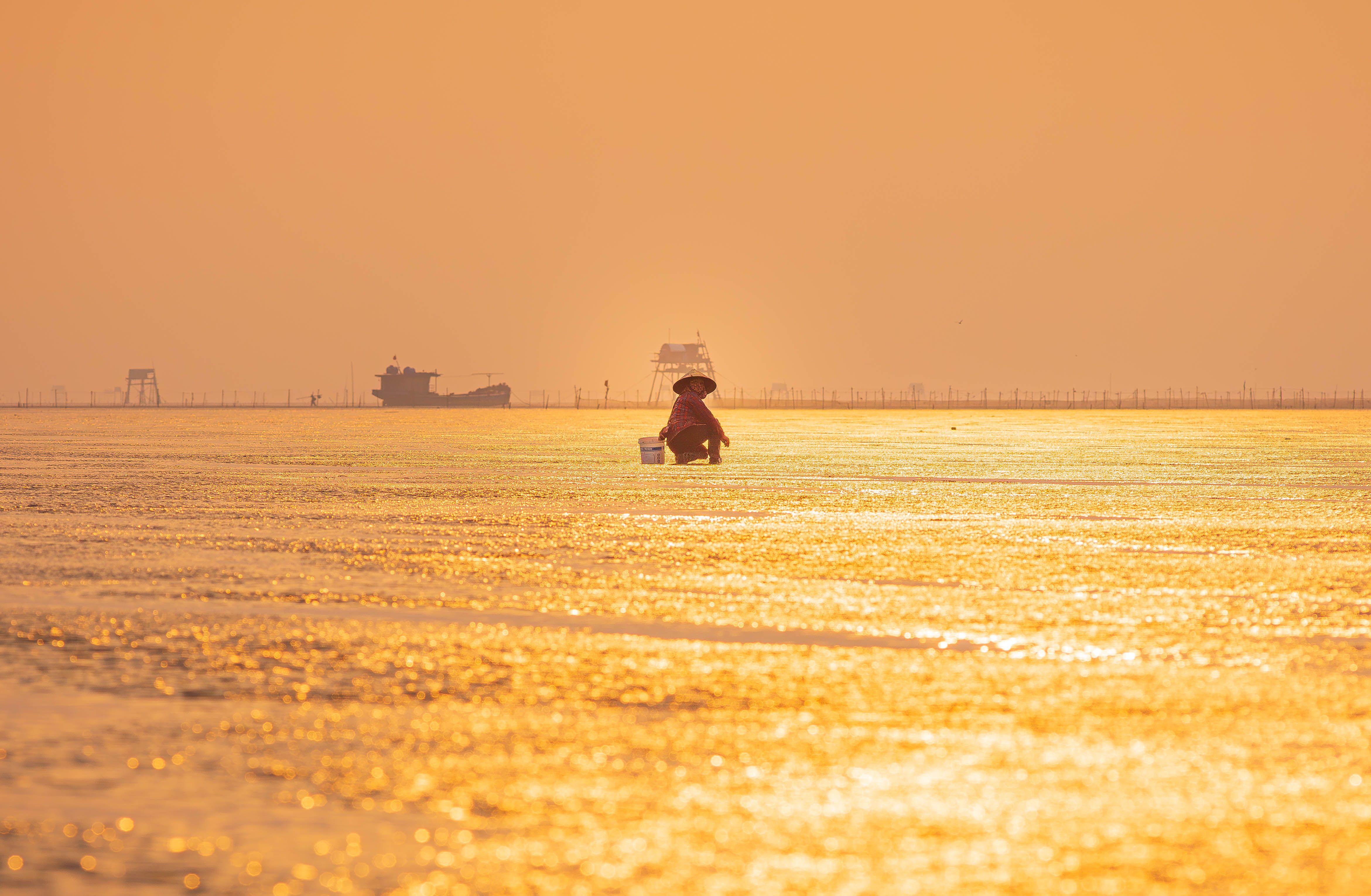 Fisherman at Sunset on a Golden Sea · Free Stock Photo