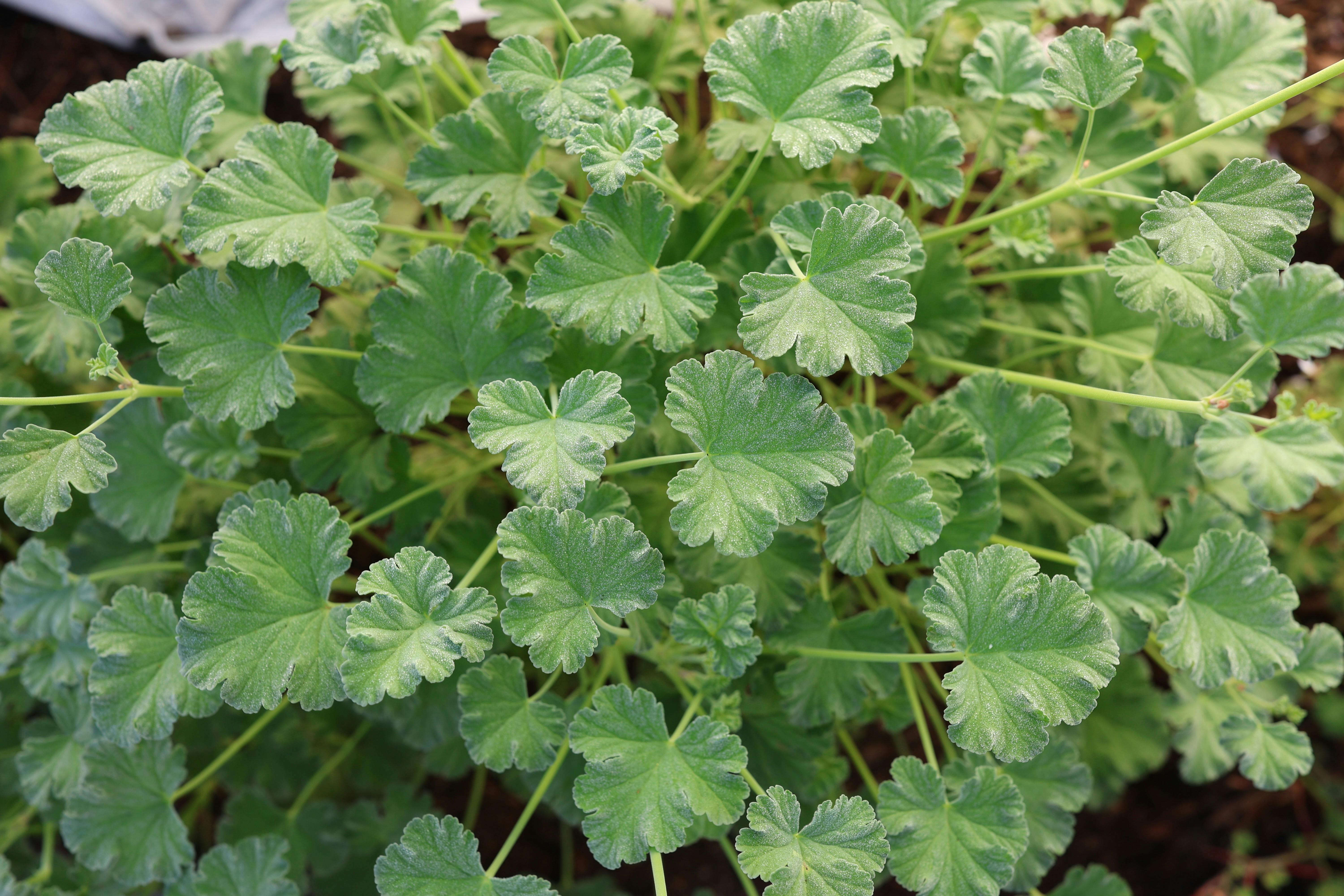 @Megmariiee+Nude+Photos Photos, Download The BEST Free @Megmariiee+Nude ...