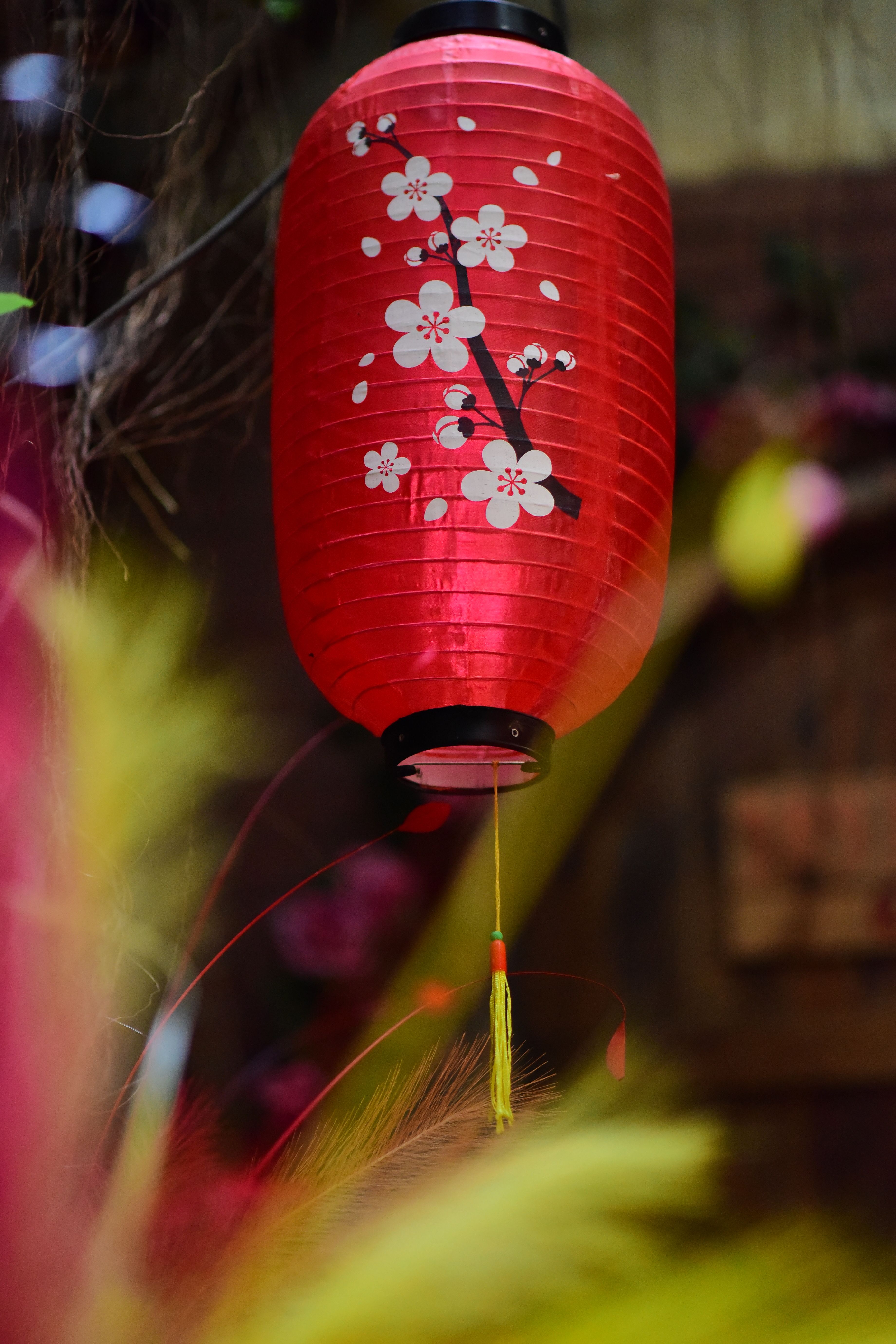 Traditional Red Chinese Lantern with Cherry Blossoms · Free Stock Photo