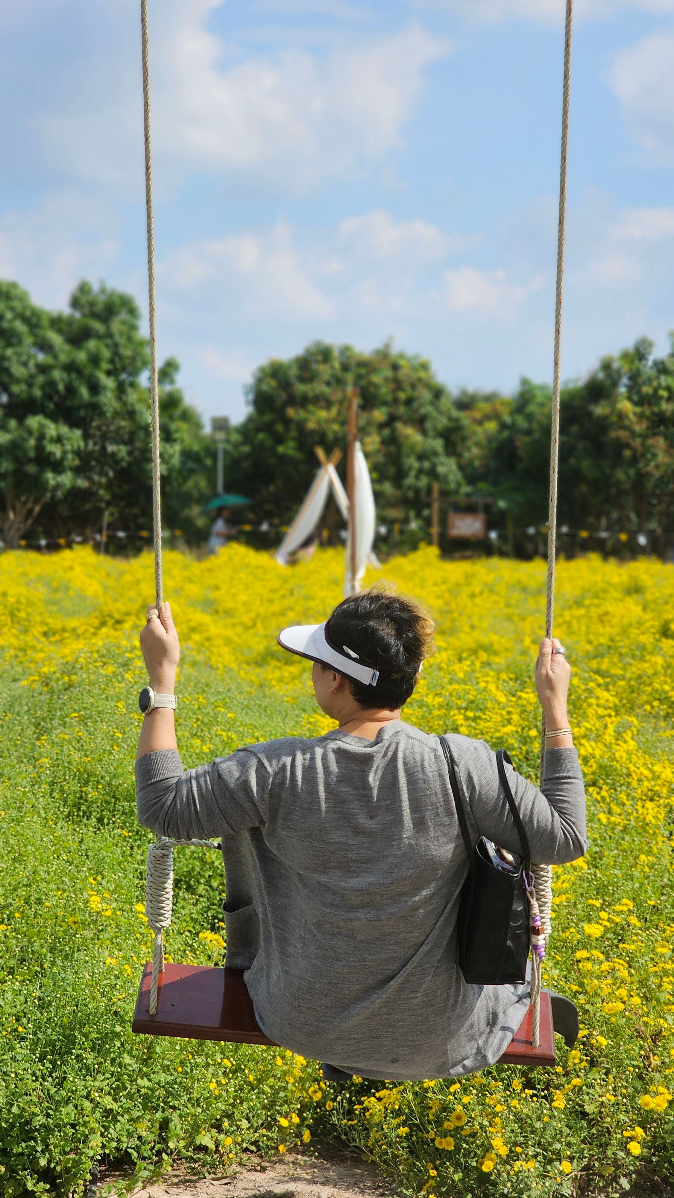 Person on Swing in Yellow Flower Field · Free Stock Photo