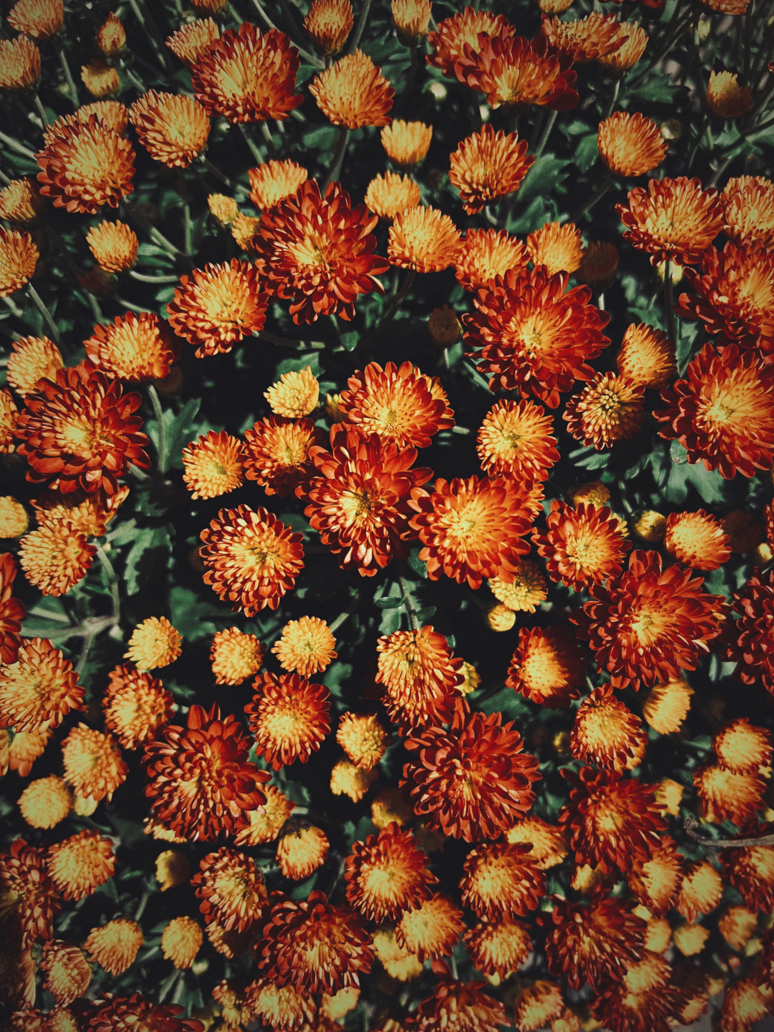 371.050+ Fotos y Imágenes de Seasoned+mom Gratis · Banco de Fotos Gratis