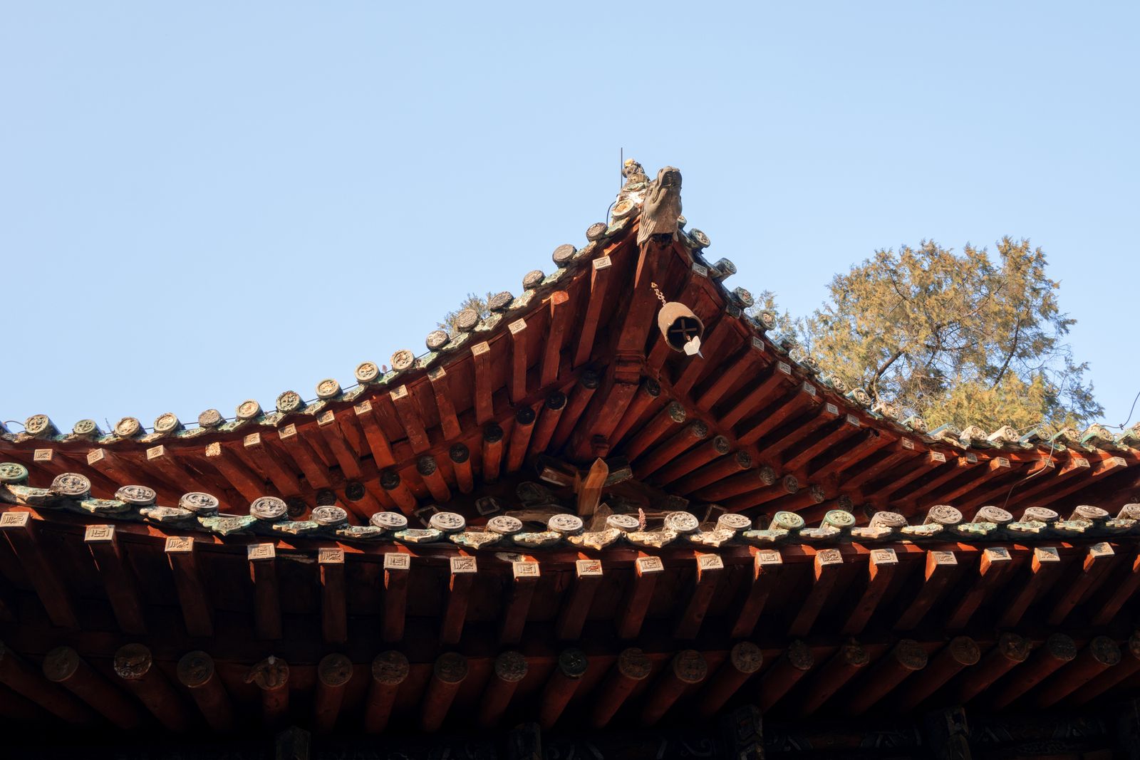 10,000+ Best Roof Photos · 100% Free Download · Pexels Stock Photos