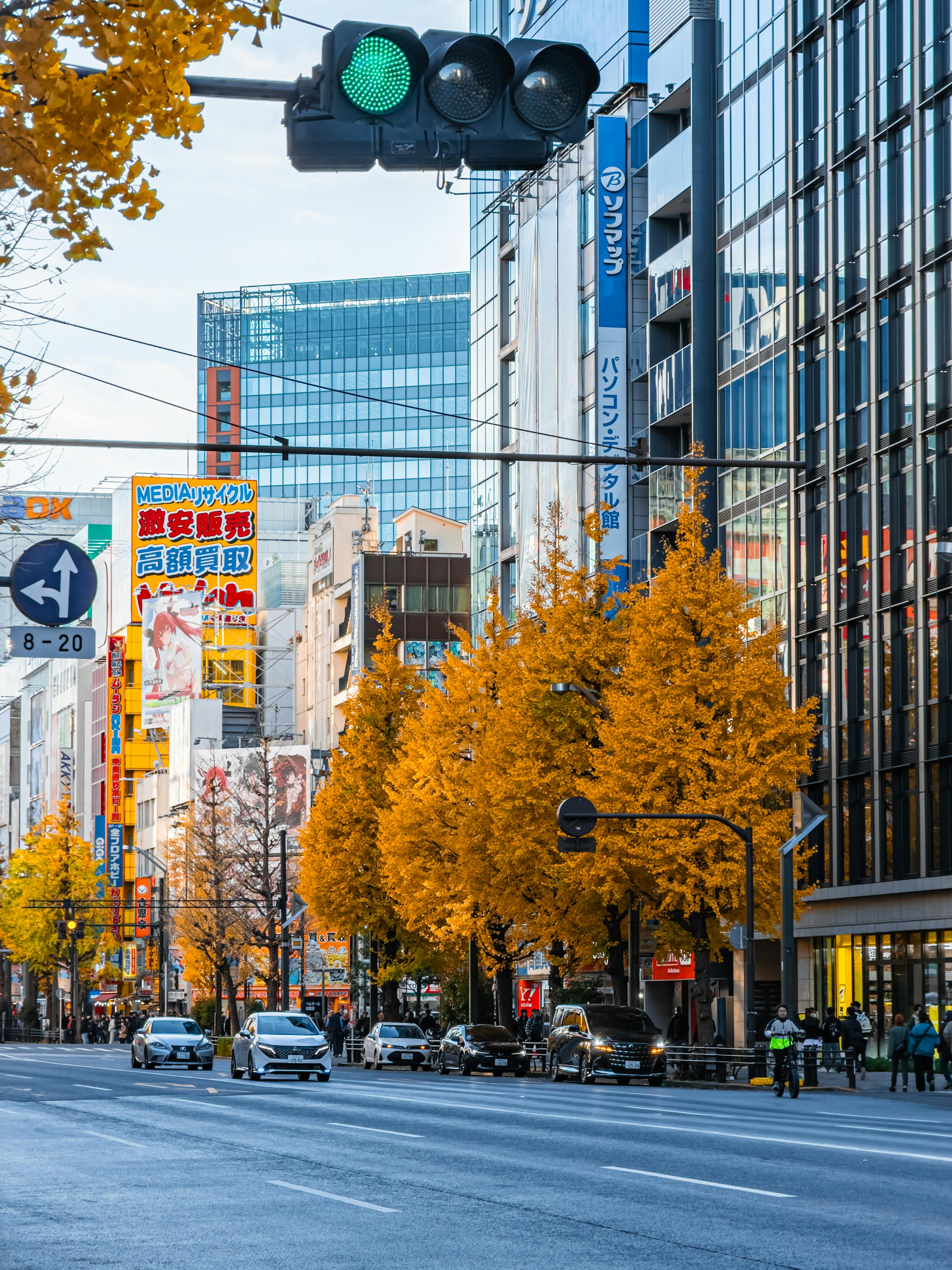Pemandangan Jalanan Musim Gugur Di Akihabara, Tokyo · Foto Stok Gratis