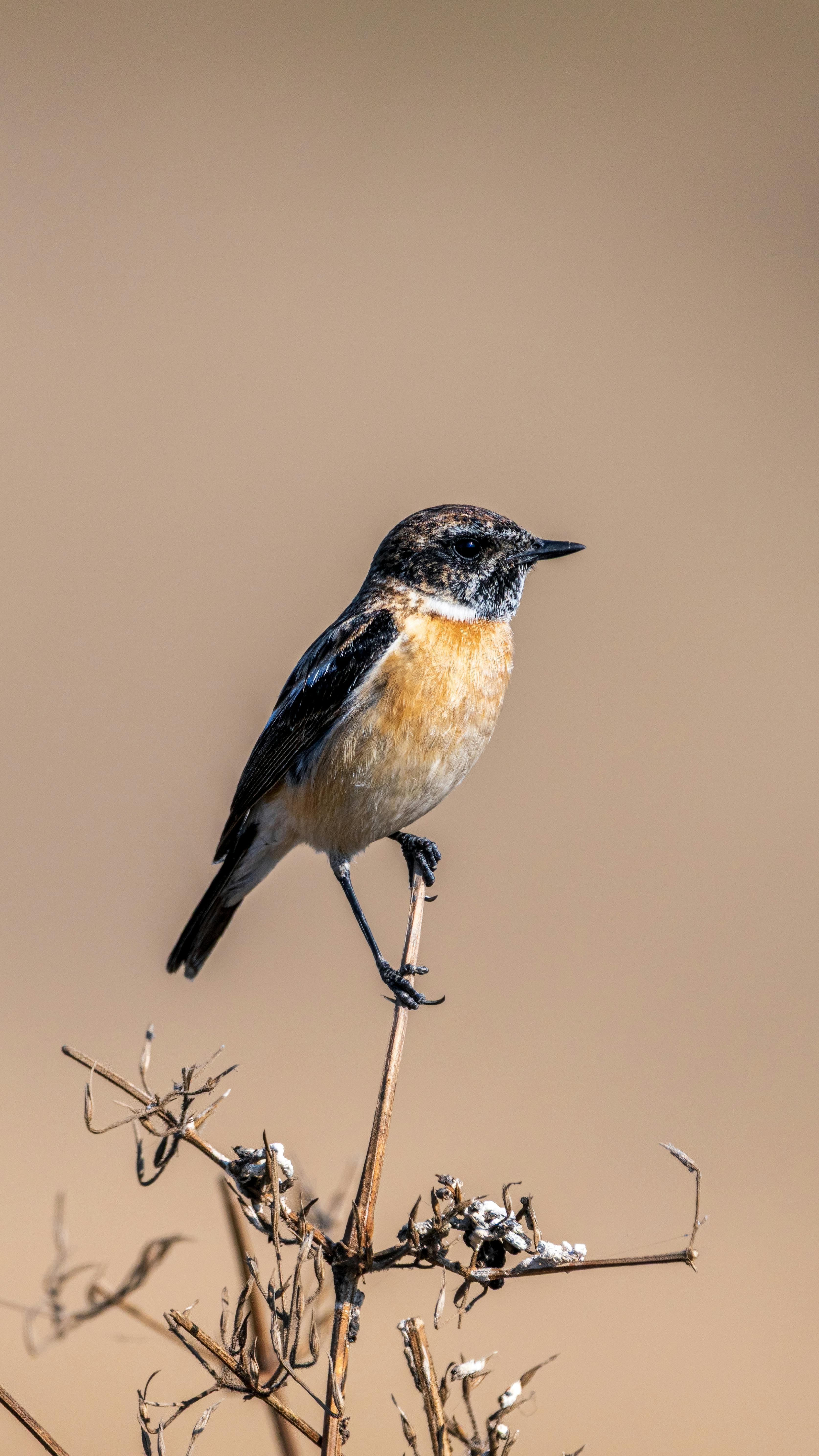 Yywg.Cc+Wallpaper Photos, Download The BEST Free Yywg.Cc+Wallpaper ...