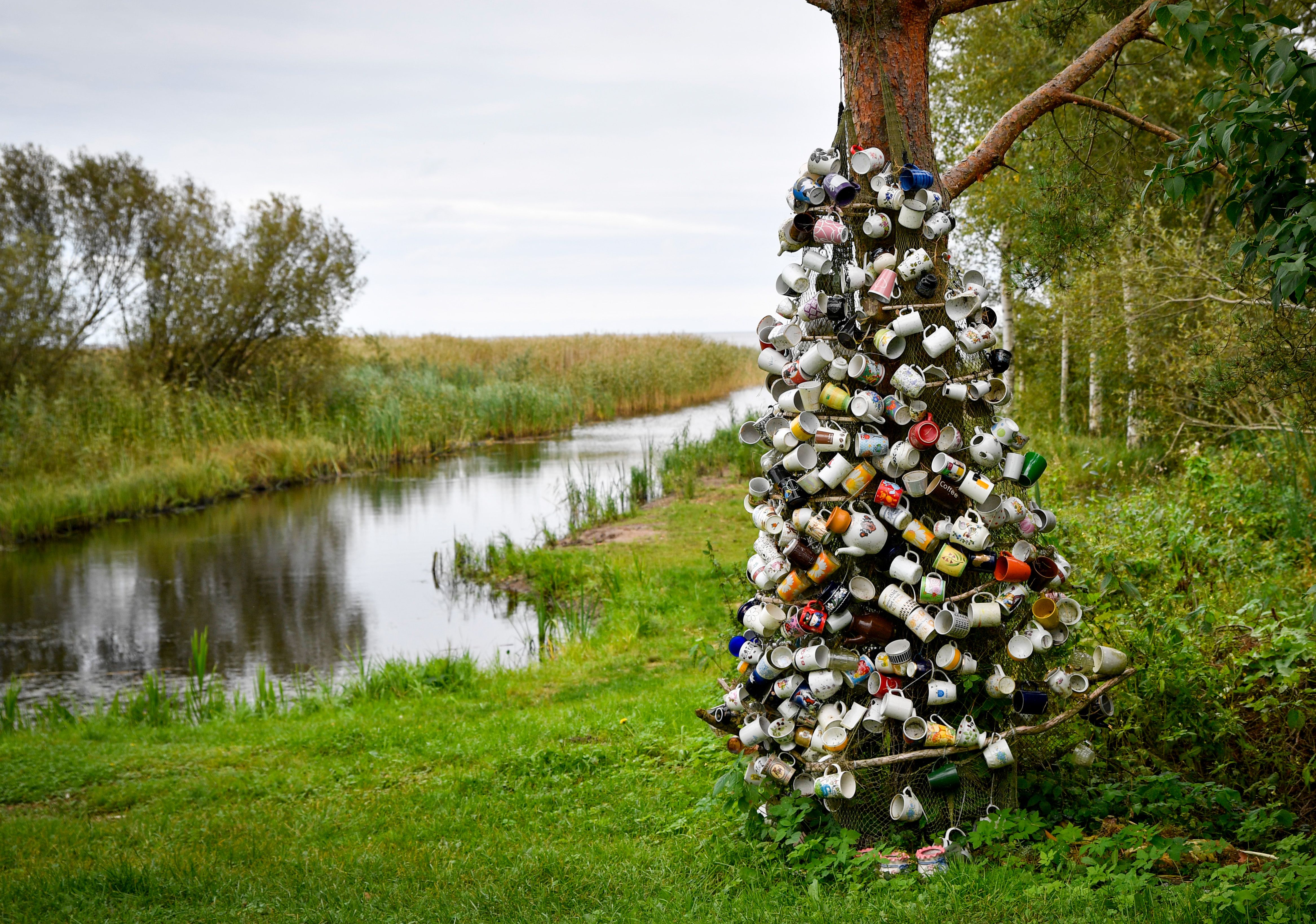 Quirky Ceramic Mug Tree by a Tranquil Lake · Free Stock Photo
