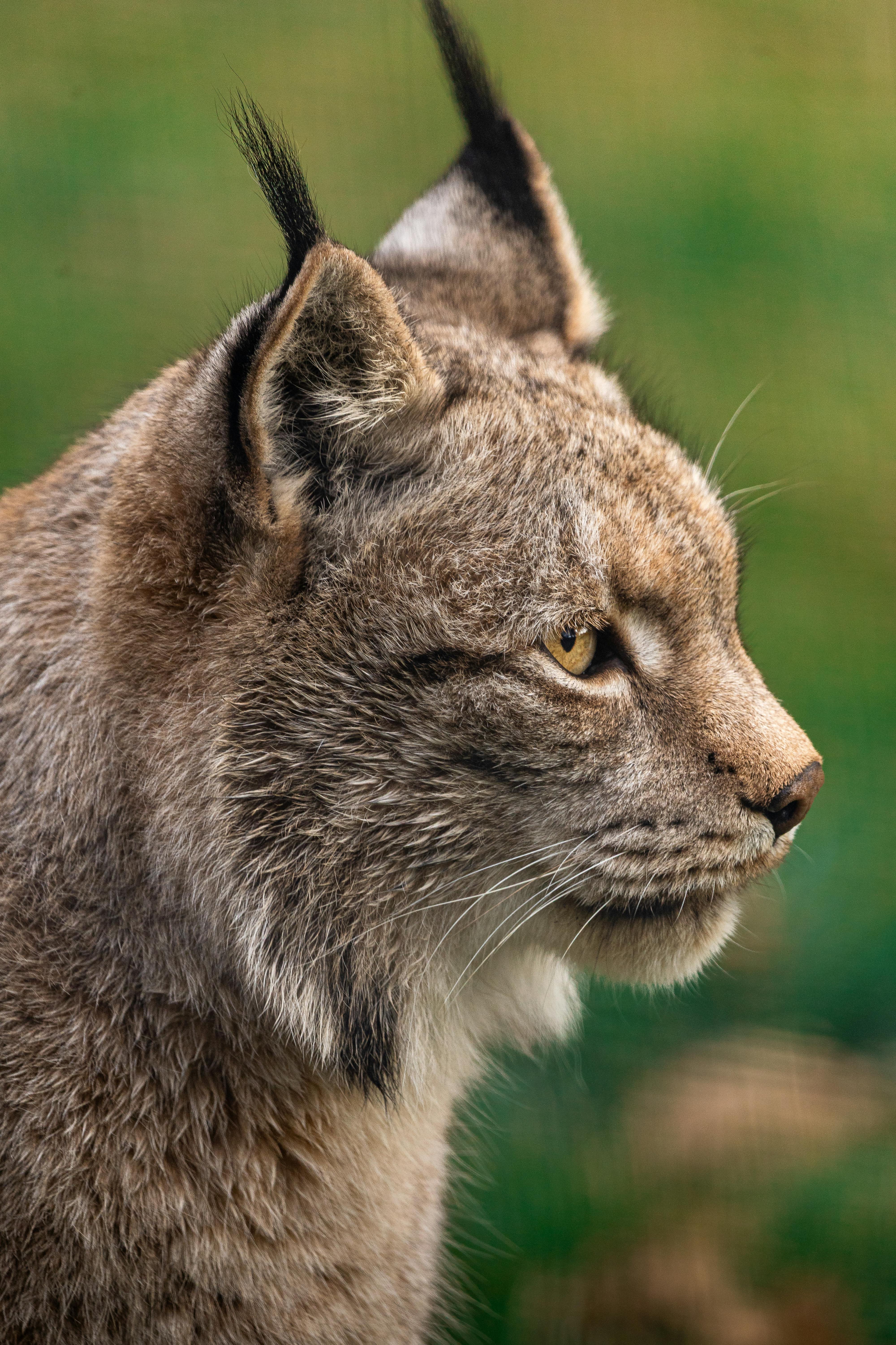 Big+Hispanic Photos, Download The BEST Free Big+Hispanic Stock Photos ...