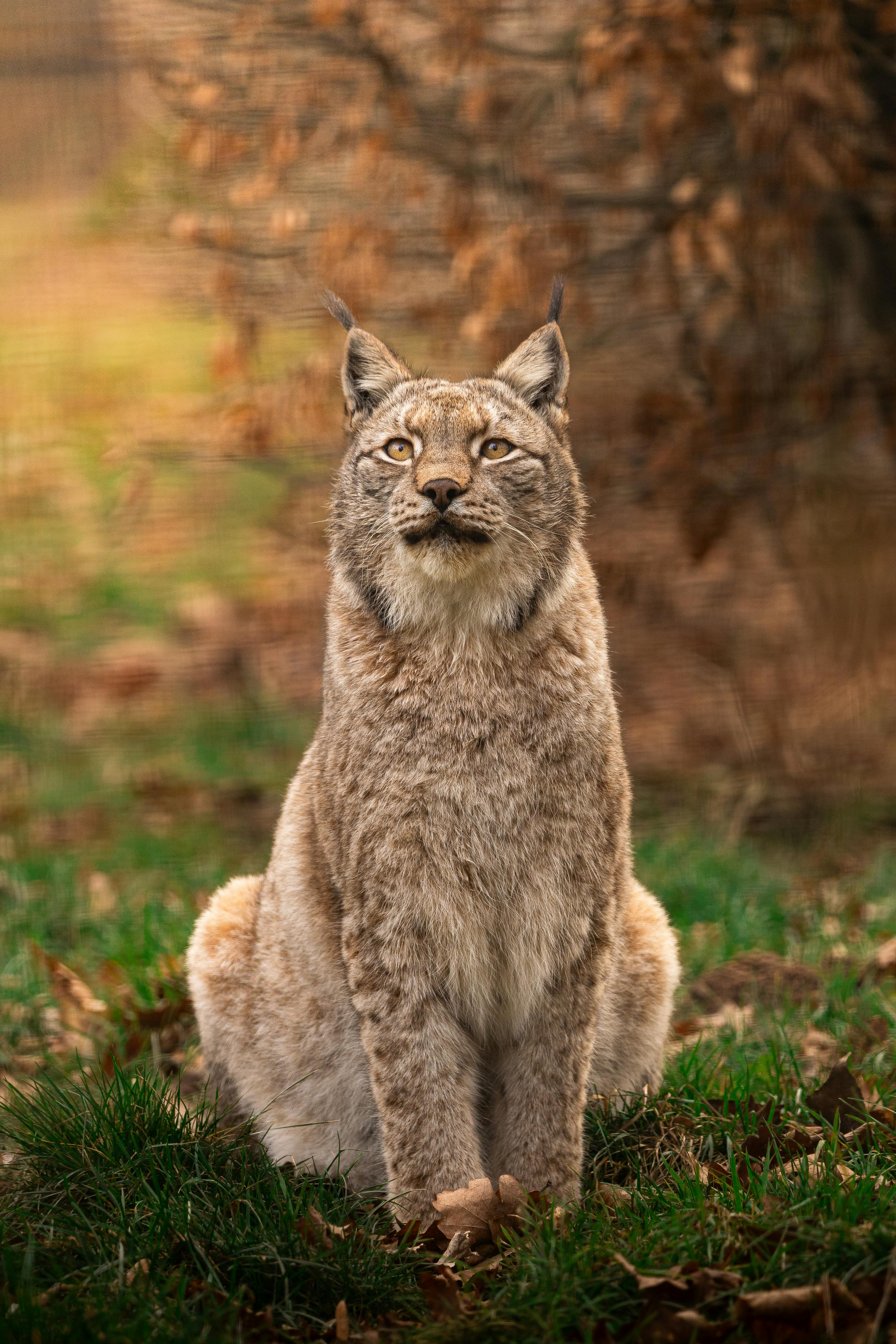 Big+Hispanic Photos, Download The BEST Free Big+Hispanic Stock Photos ...