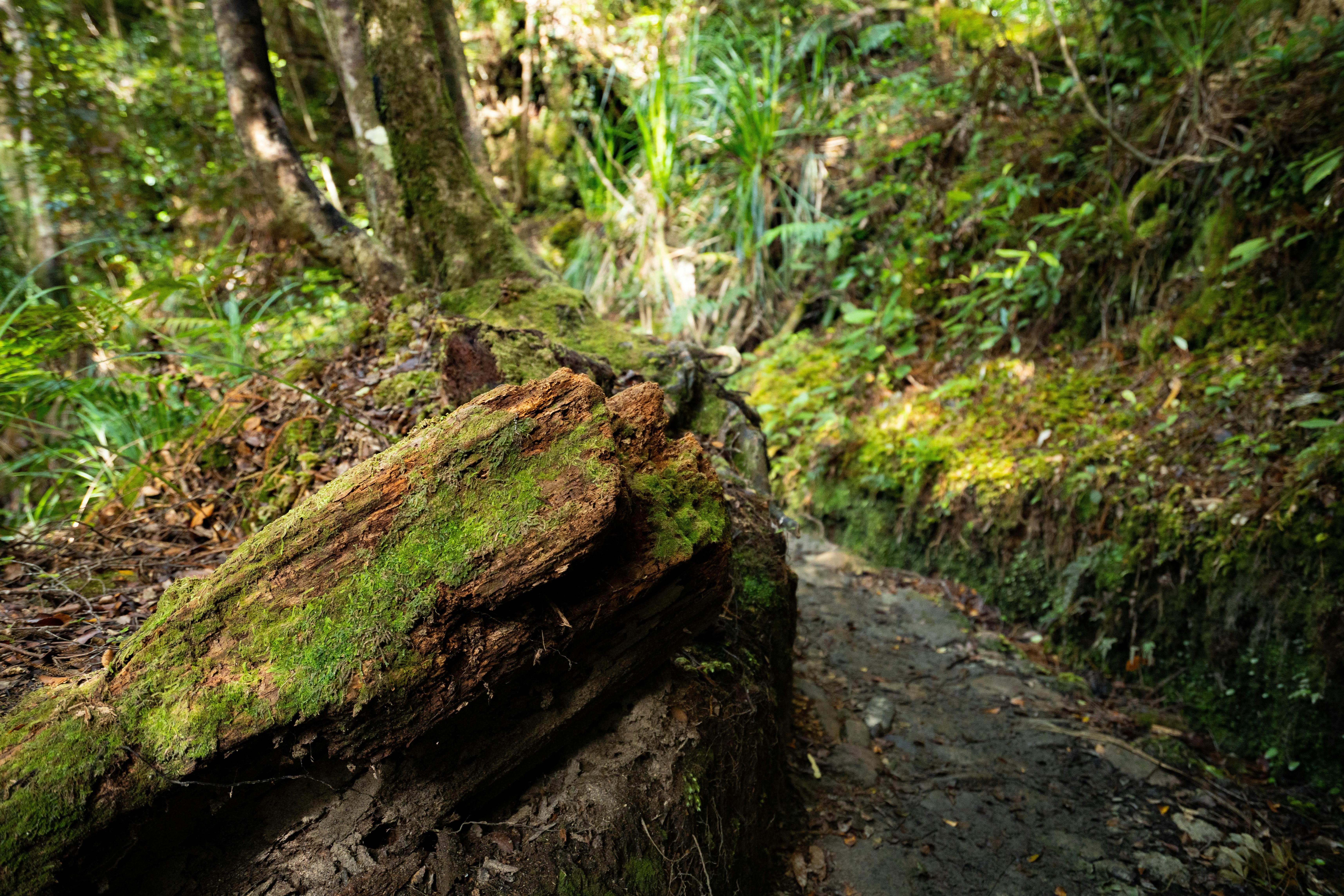 Stock+Trafer Photos, Download The BEST Free Stock+Trafer Stock Photos ...