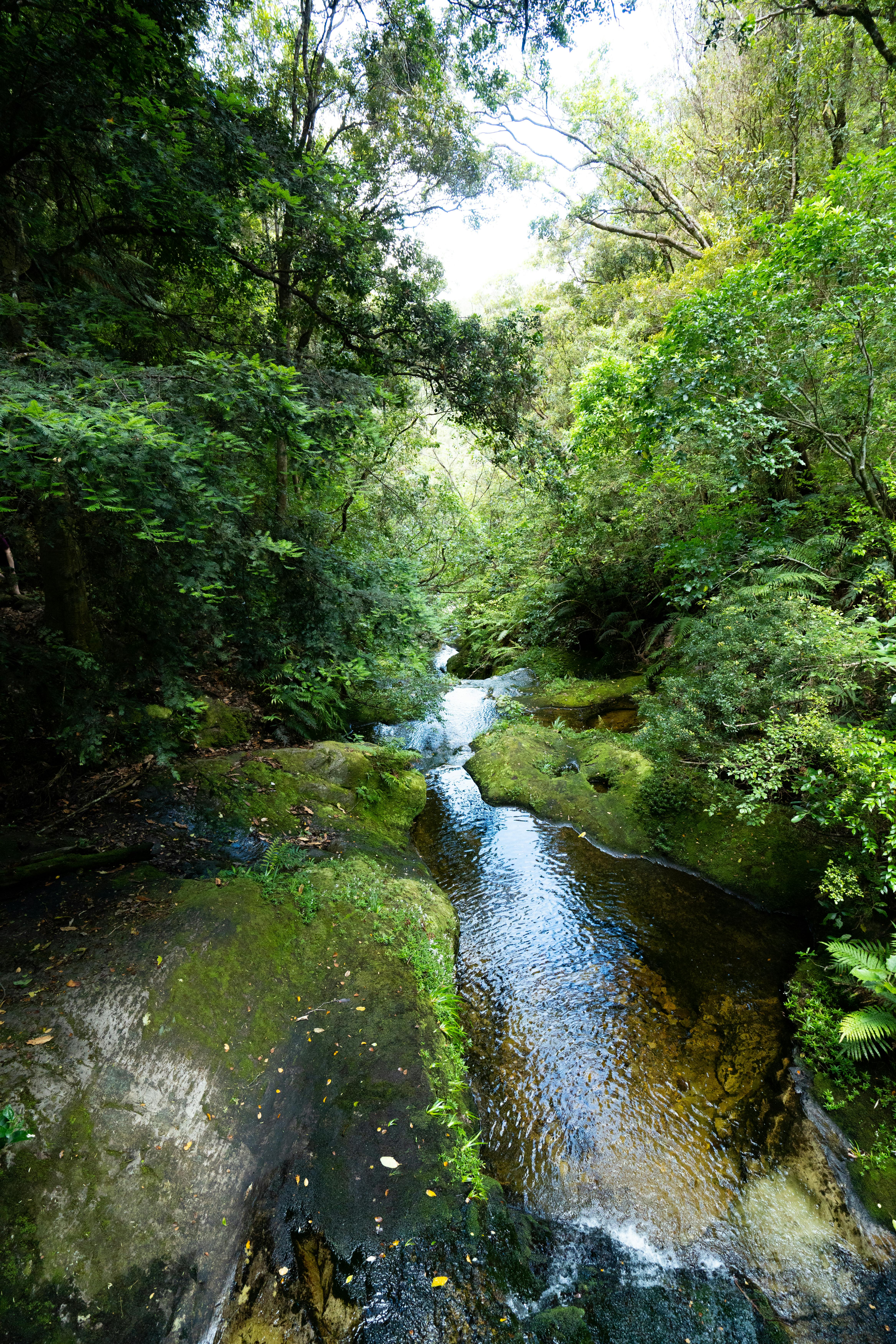 9.430+ Fotos y Imágenes de Seksi hd pichar Gratis · Banco de Fotos Gratis