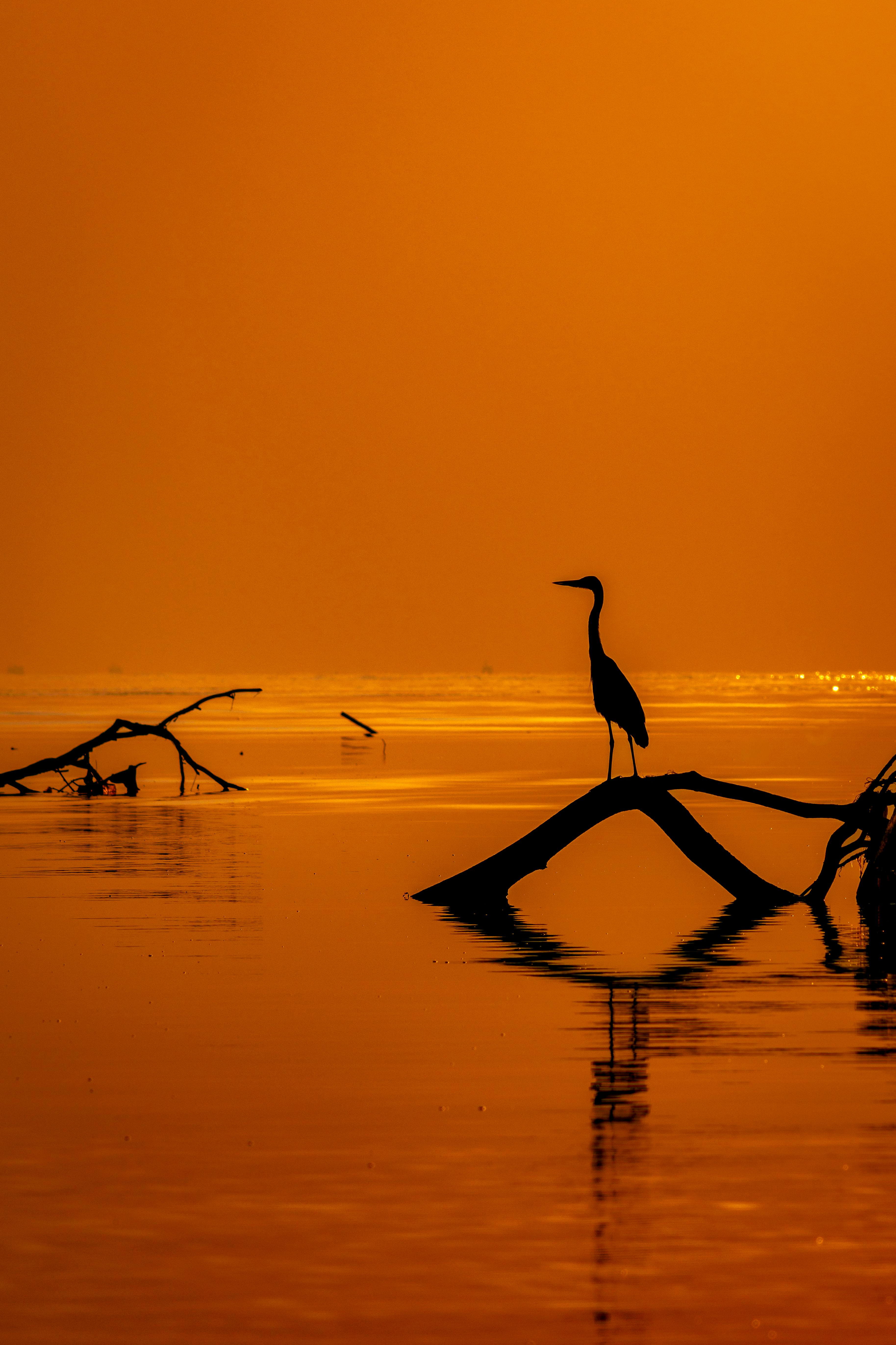 Dream+Mirror Photos, Download The BEST Free Dream+Mirror Stock Photos ...