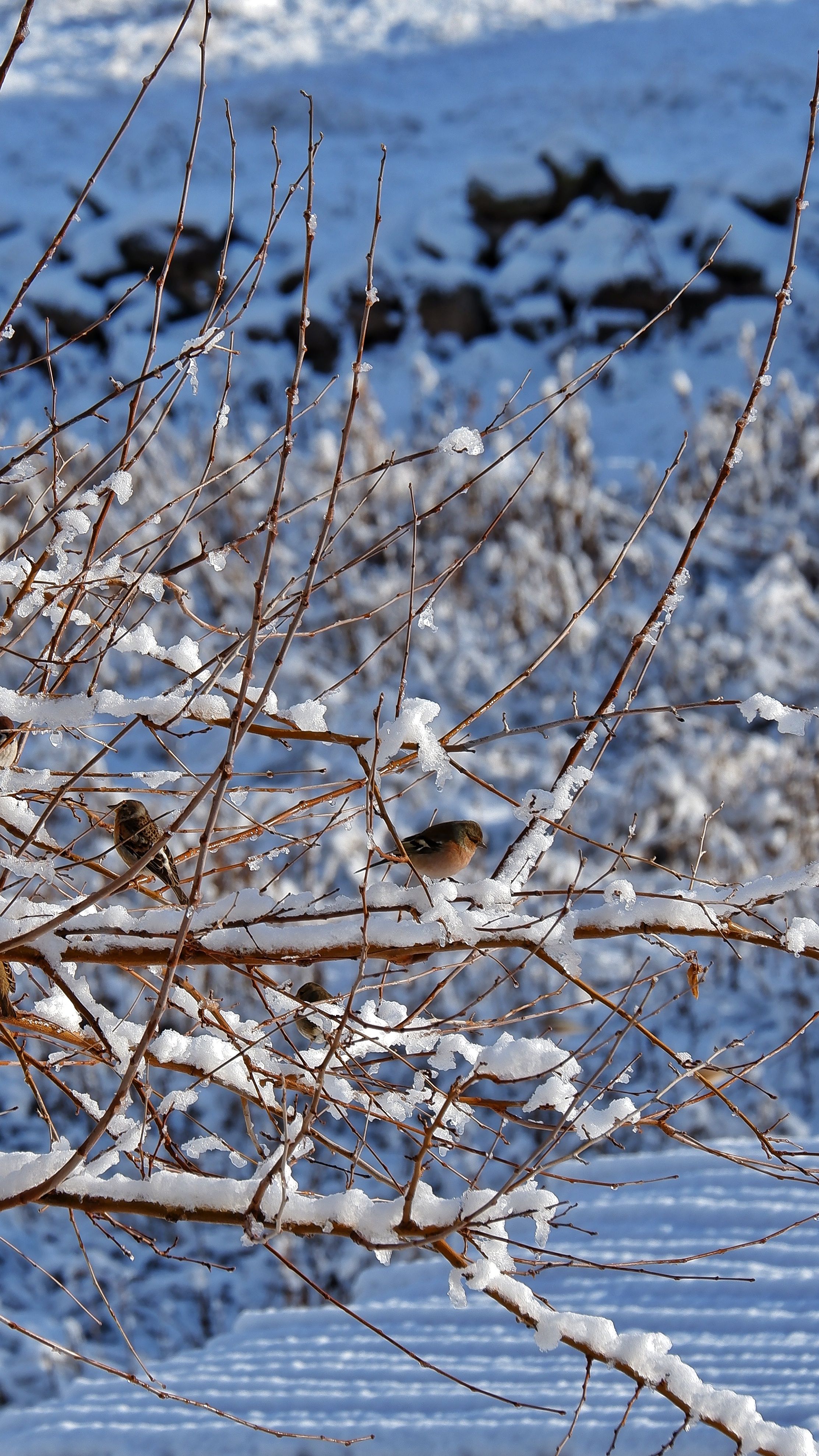 256 X 256 Photos, Download The BEST Free 256 X 256 Stock Photos & HD Images